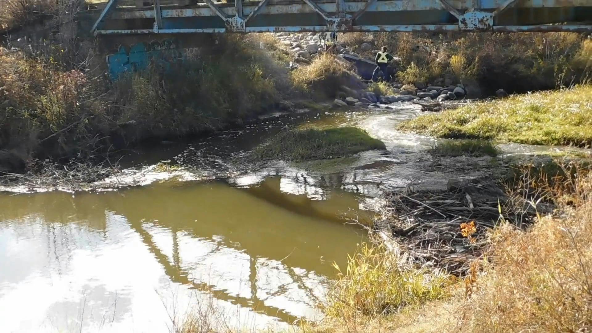 A Murky River Free Stock Video Footage, Royalty-Free 4K & HD Video Clip