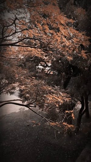 Stock Video Videos, Download The BEST Free 4k Stock Video Footage ...