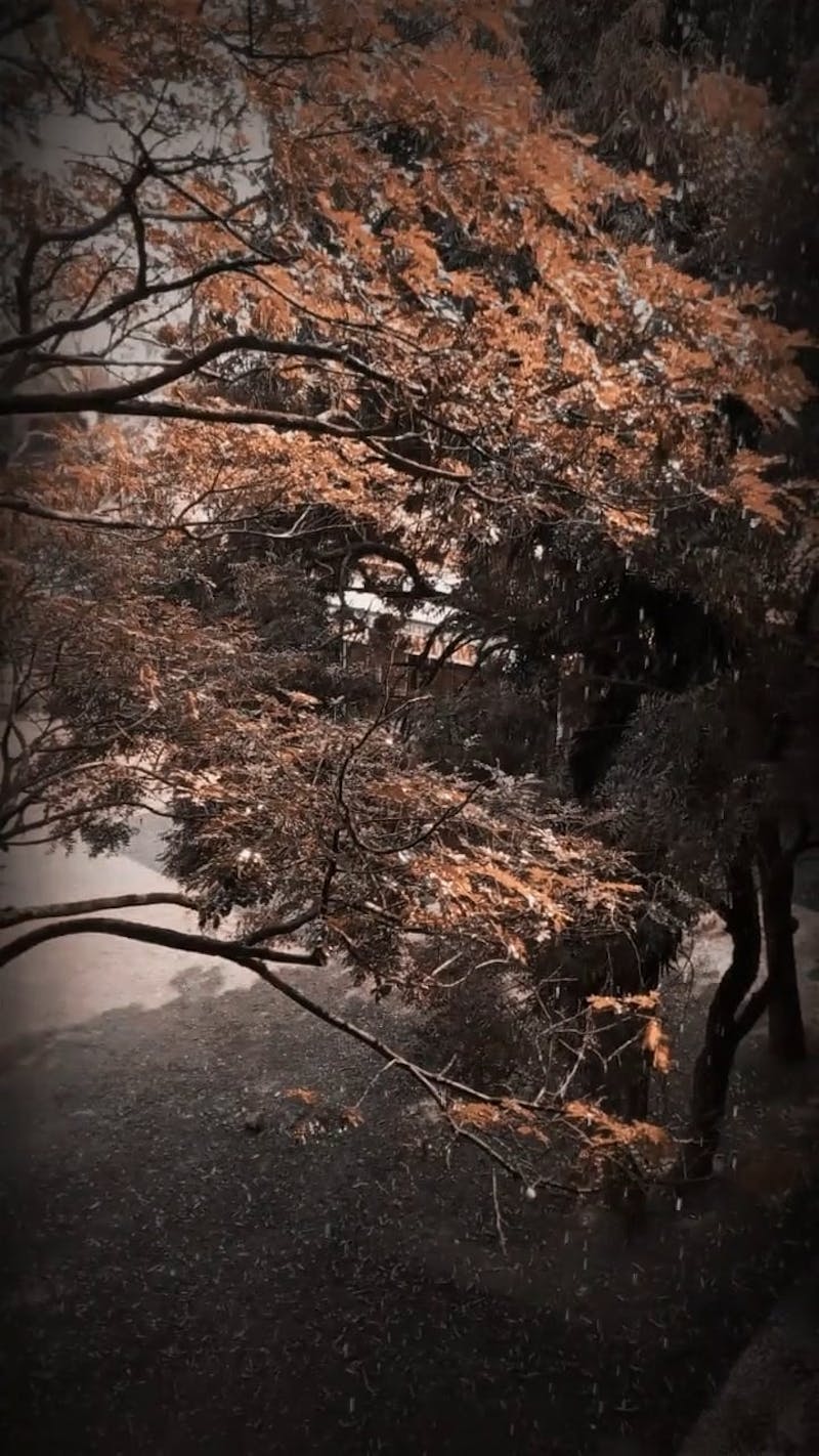 Stock Video Videos, Download The BEST Free 4k Stock Video Footage ...