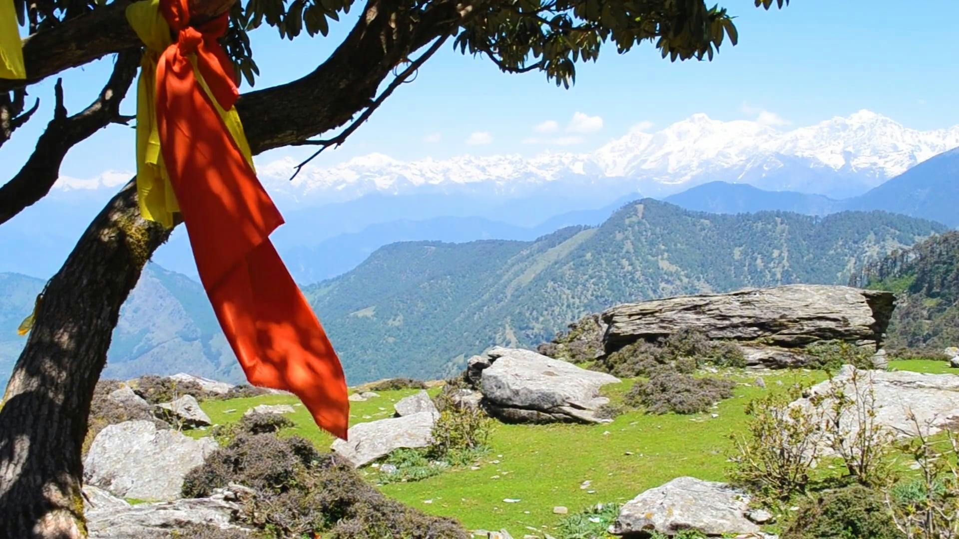 Mihir Thakar - Photography