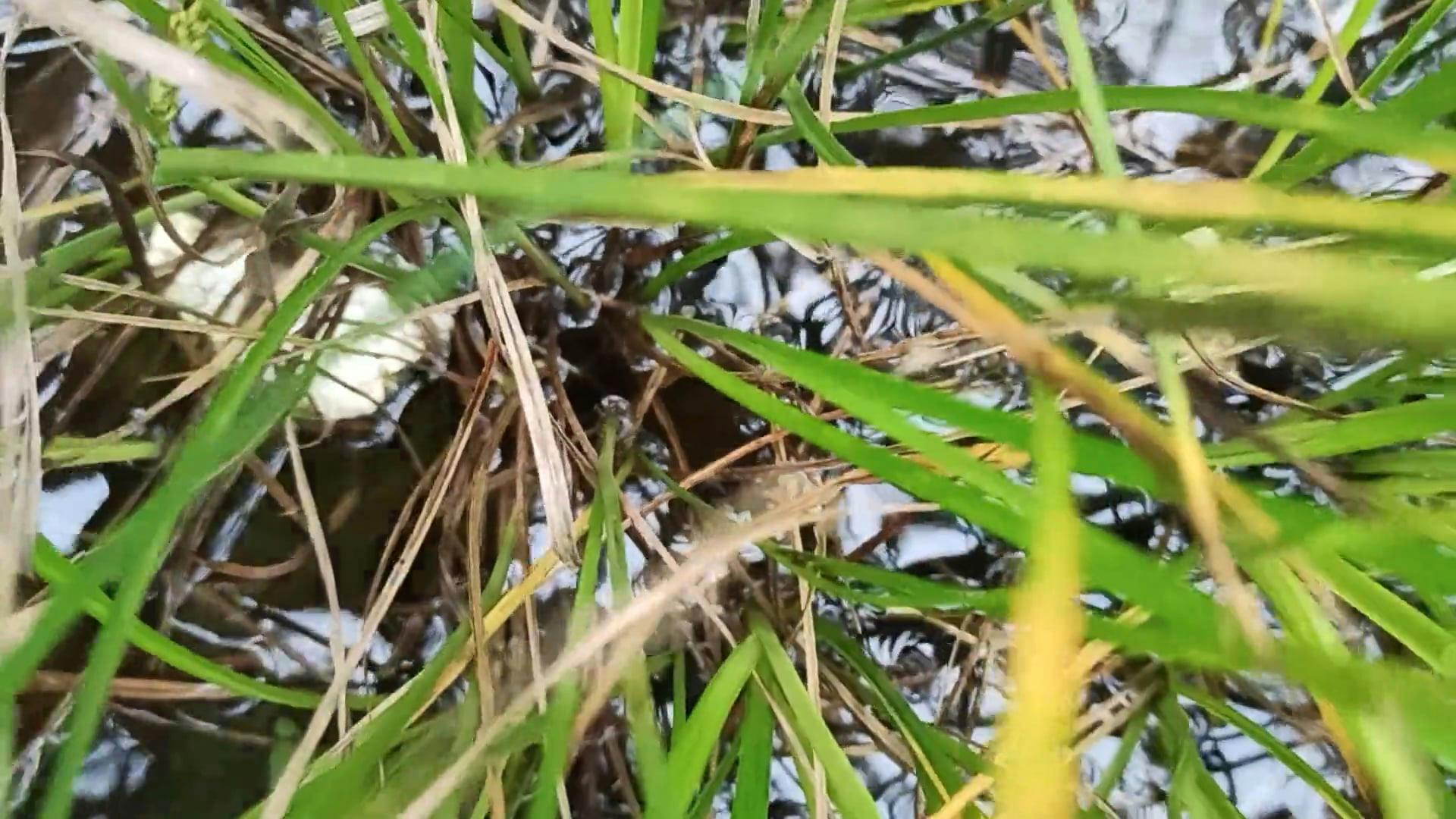 High Quality Video Videos, Download The BEST Free 4k Stock Video ...