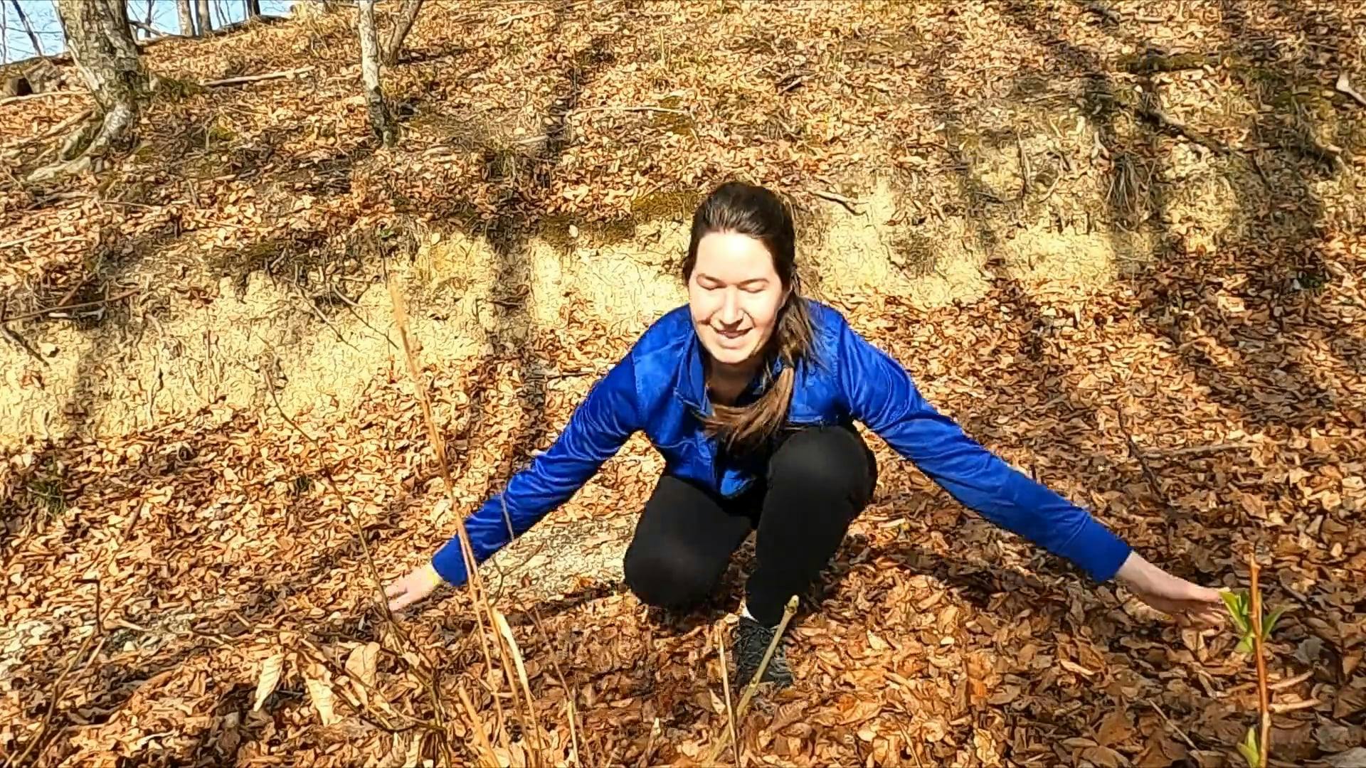 A Woman Running Uphill In The Forest Trail Free Stock Video Footage ...