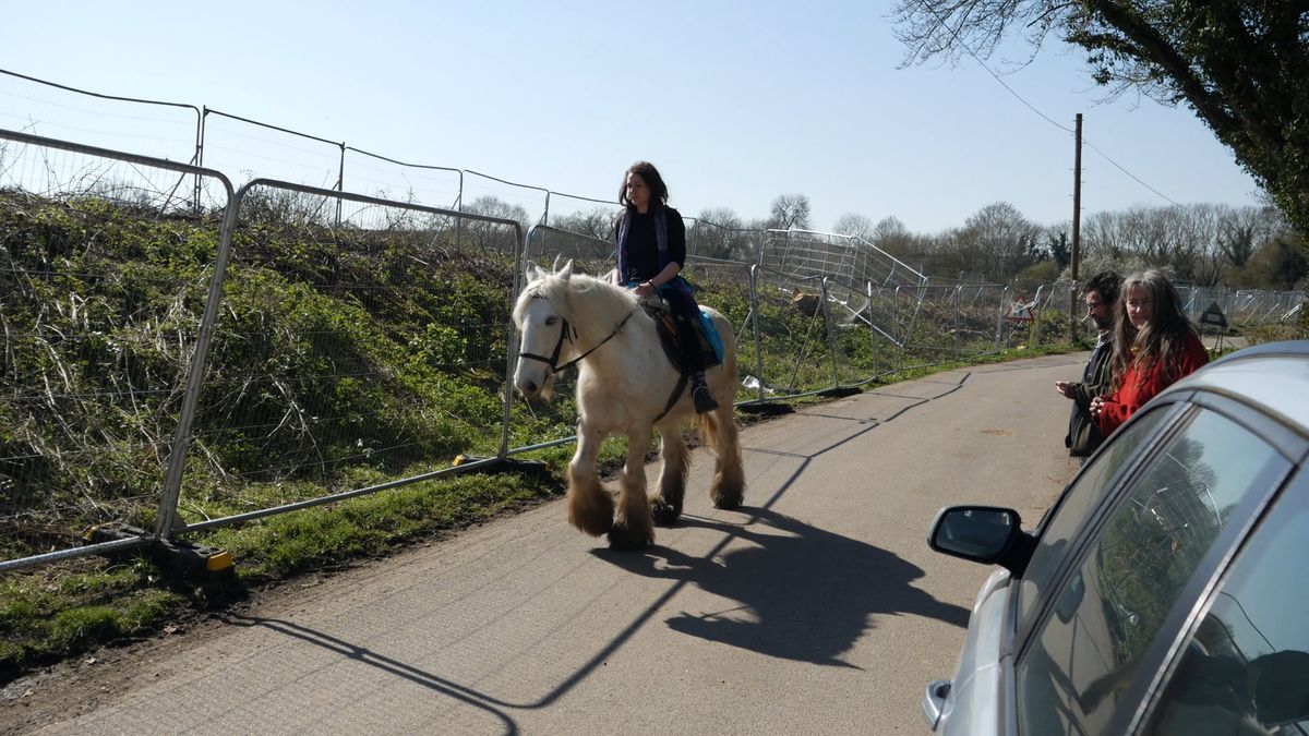 Horse Riding Videos, Download The BEST Free 4k Stock Video Footage ...