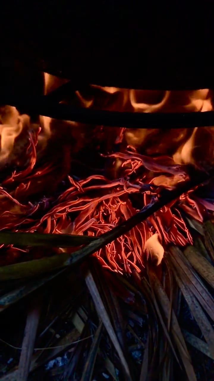 Burning Fire Free Stock Video Footage, Royalty-Free 4K & HD Video Clip