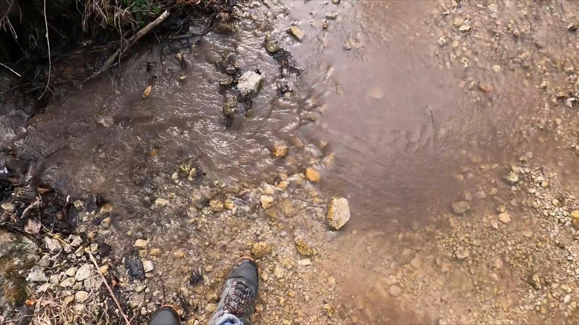 Person Walking Over the Brook With Her Dog Free Stock Video Footage ...