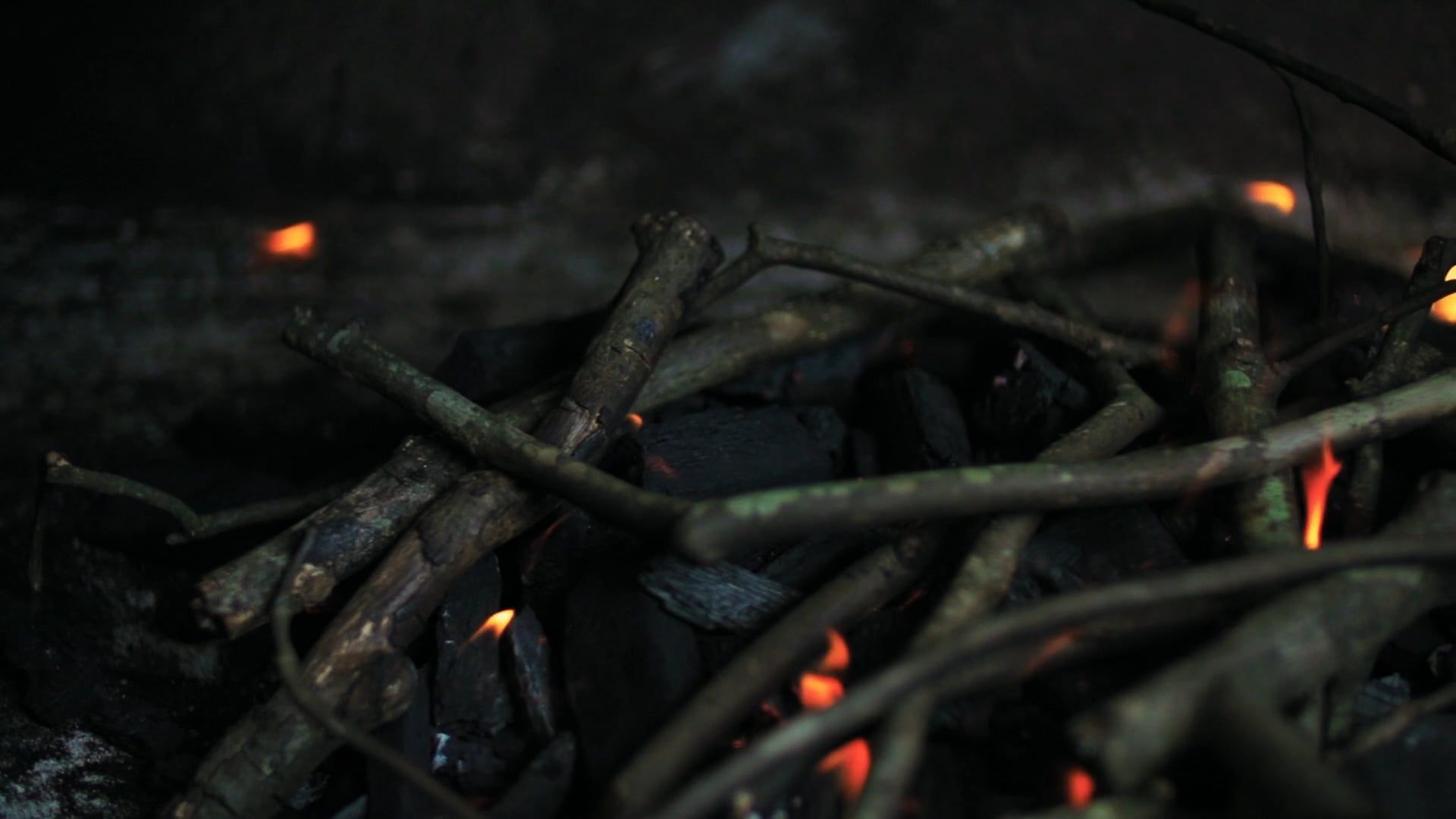 Firewood Starting to Blaze Free Stock Video Footage, Royalty-Free 4K ...