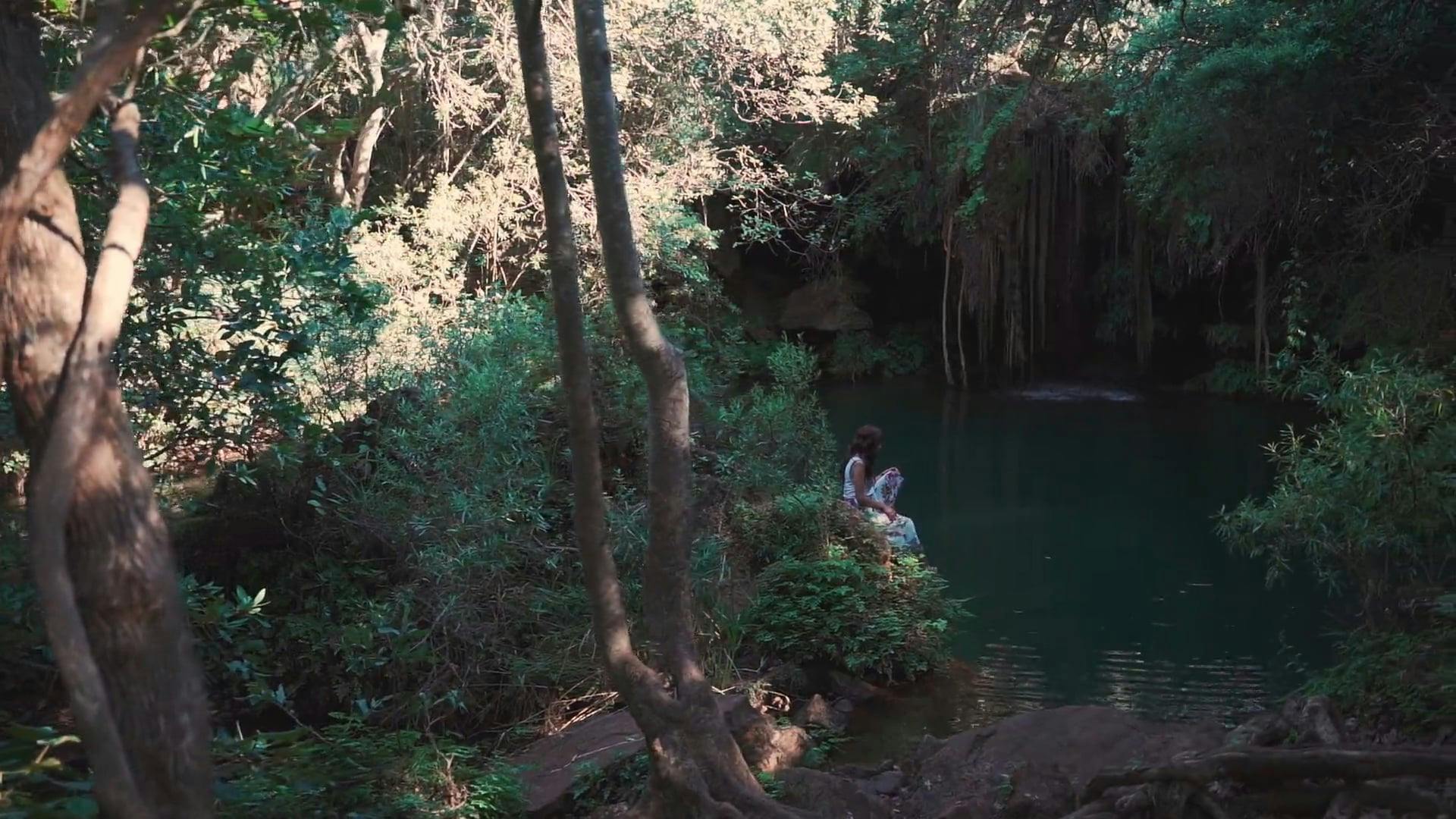 Woman Sitting by the River in a Forest Free Stock Video Footage ...
