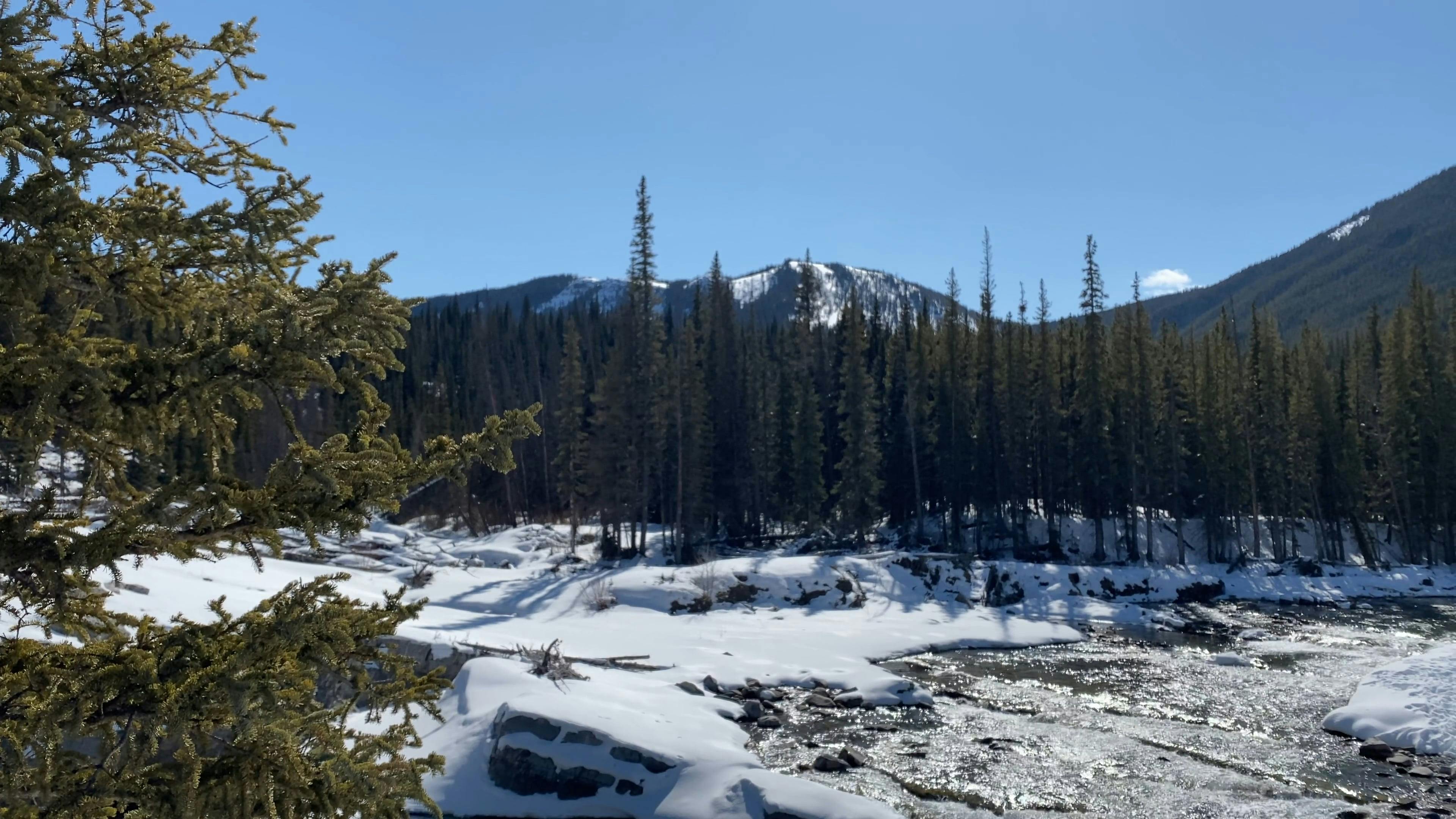 Snowy River Bank Free Stock Video Footage, Royalty-Free 4K & HD Video Clip