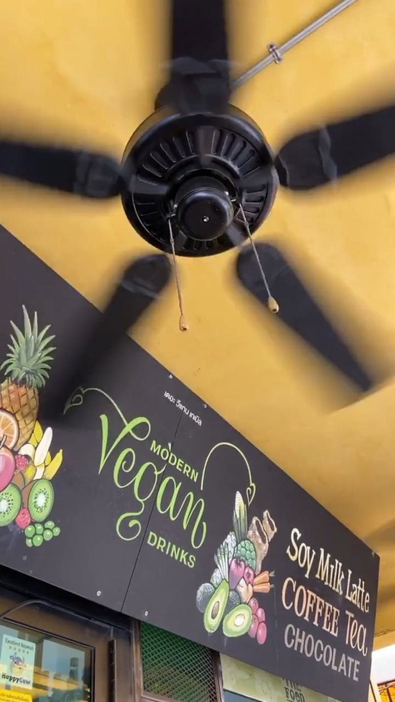 Electric Fan Videos, Download The BEST Free 4k Stock Video Footage ...