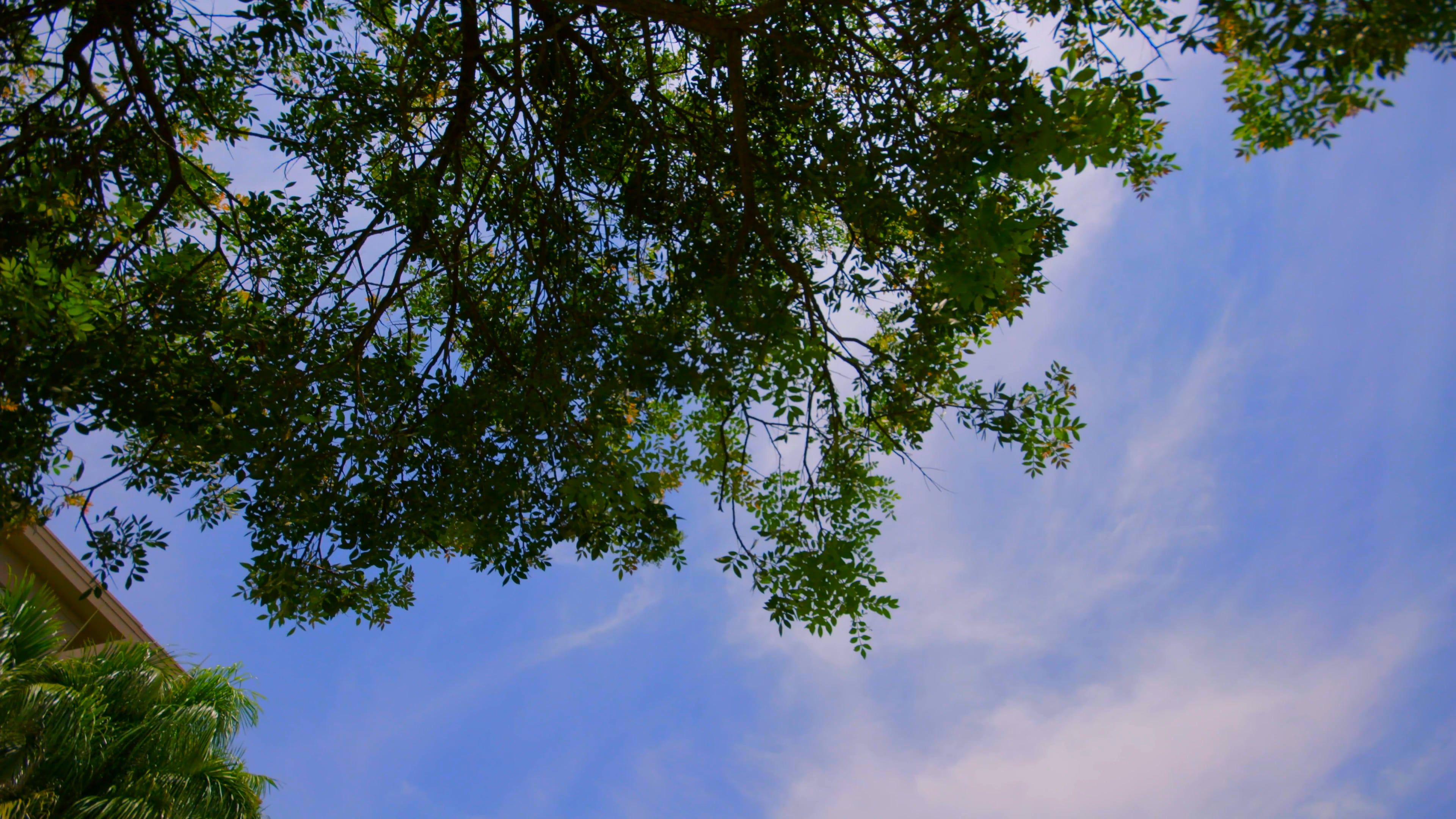 Revolving Shot of the Sky Free Stock Video Footage, Royalty-Free 4K ...