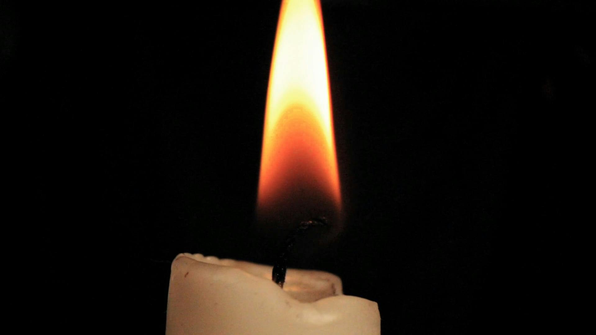 Single Flames Videos, Download The BEST Free 4k Stock Video Footage ...