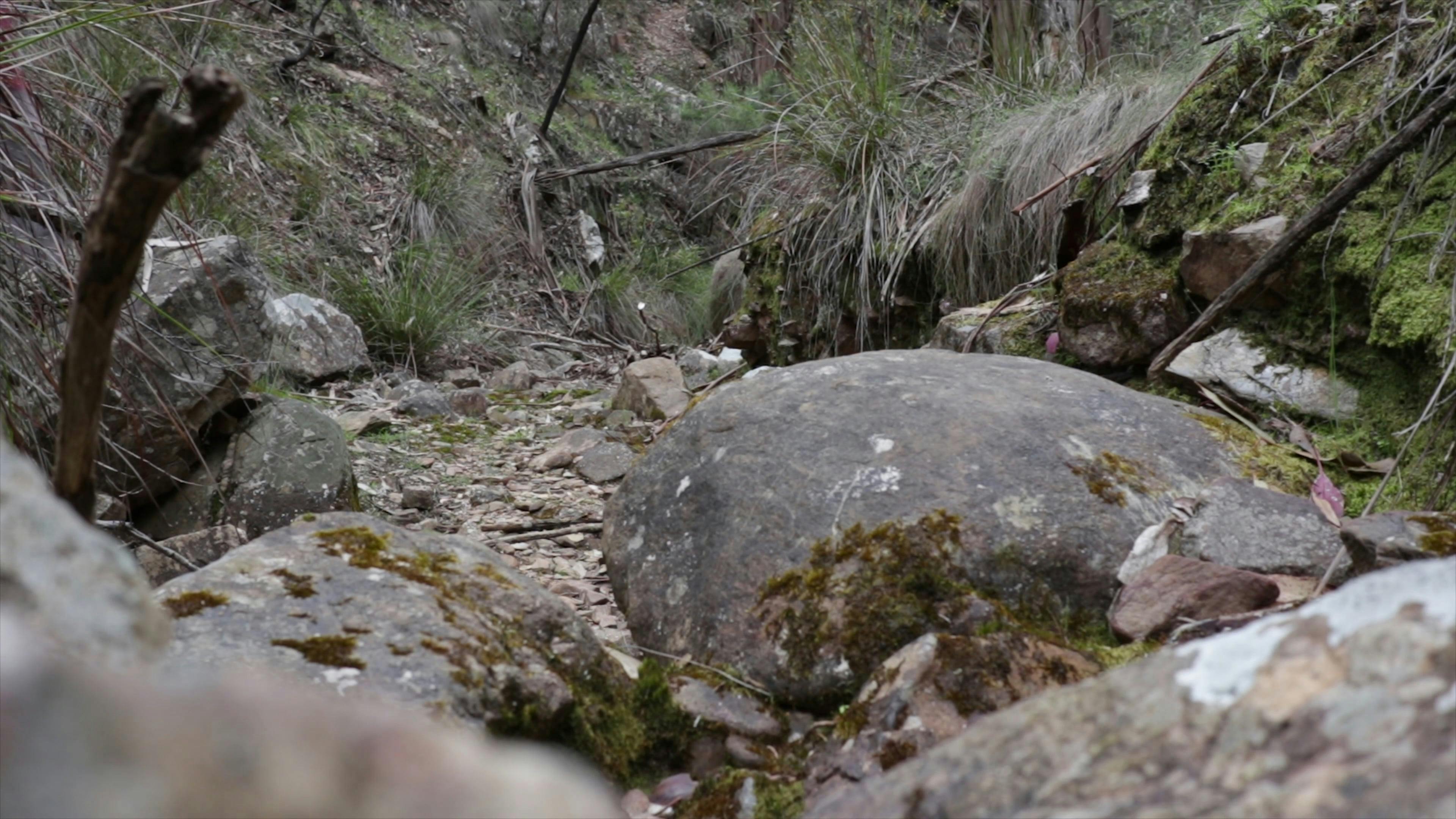 Two Men are Walking in the Rocks · Free Stock Video