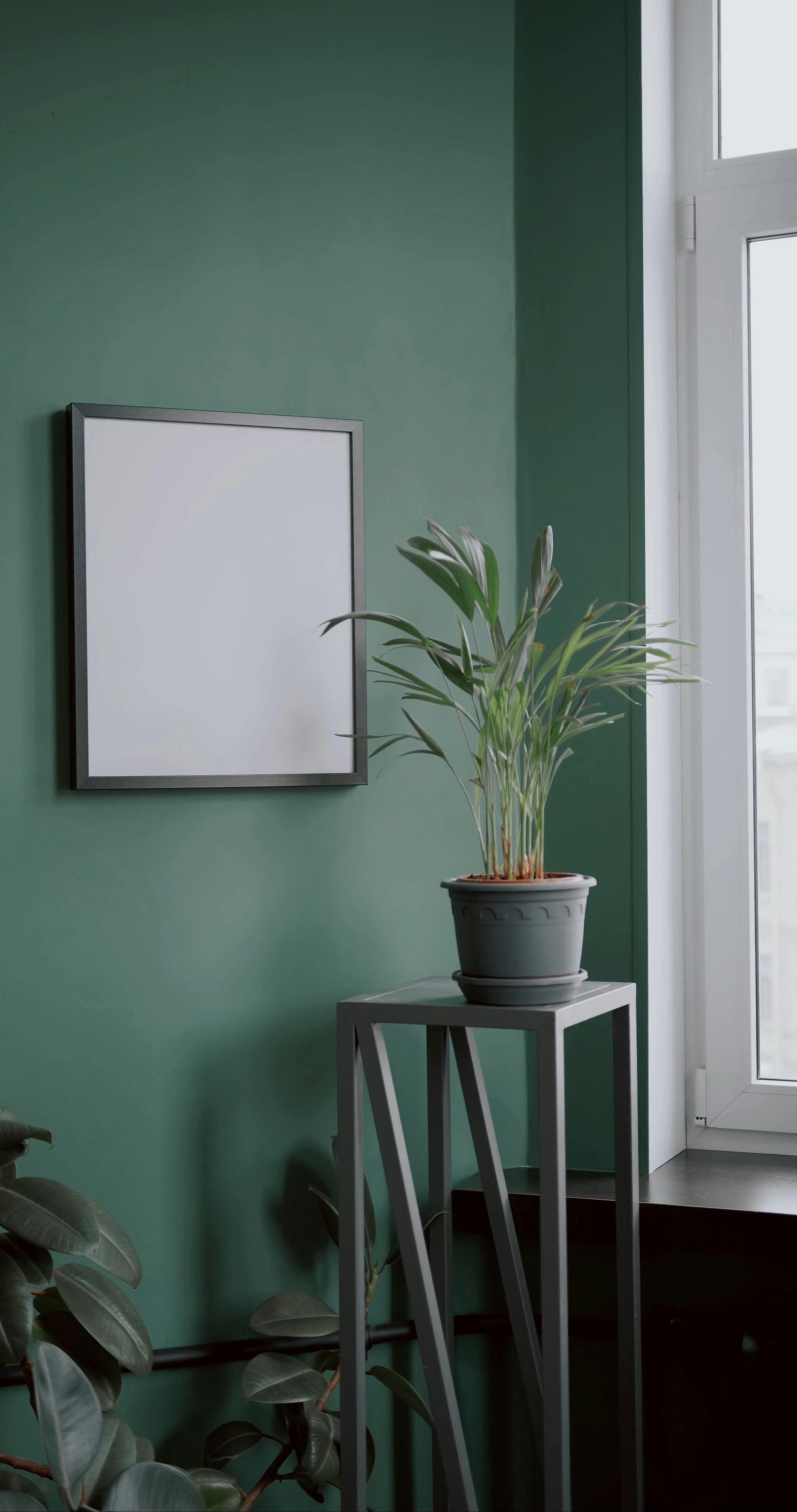 Photo Frame Videos, Download The BEST Free 4k Stock Video Footage ...