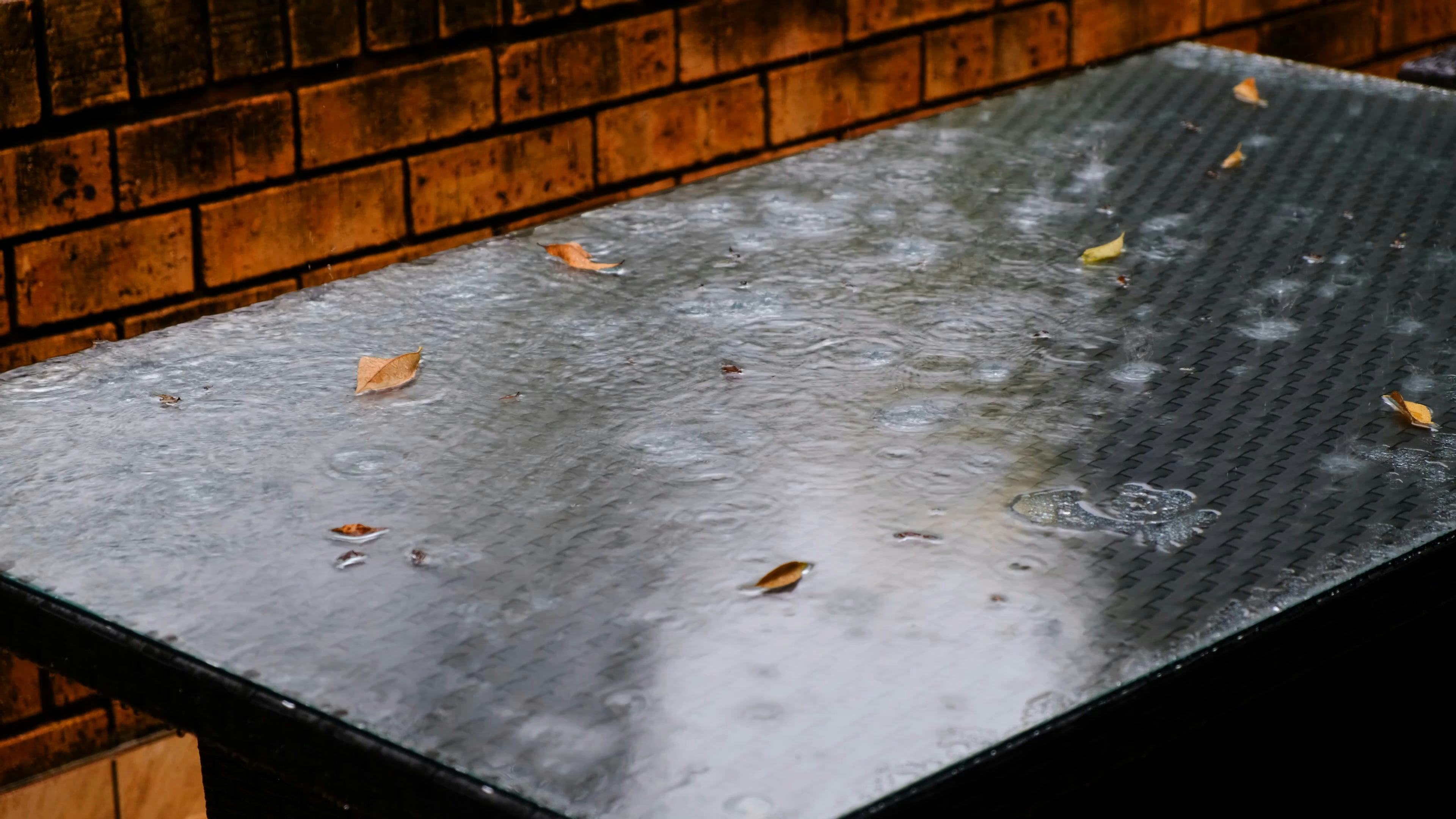 Raindrops Free Stock Video Footage, Royalty-Free 4K & HD Video Clip