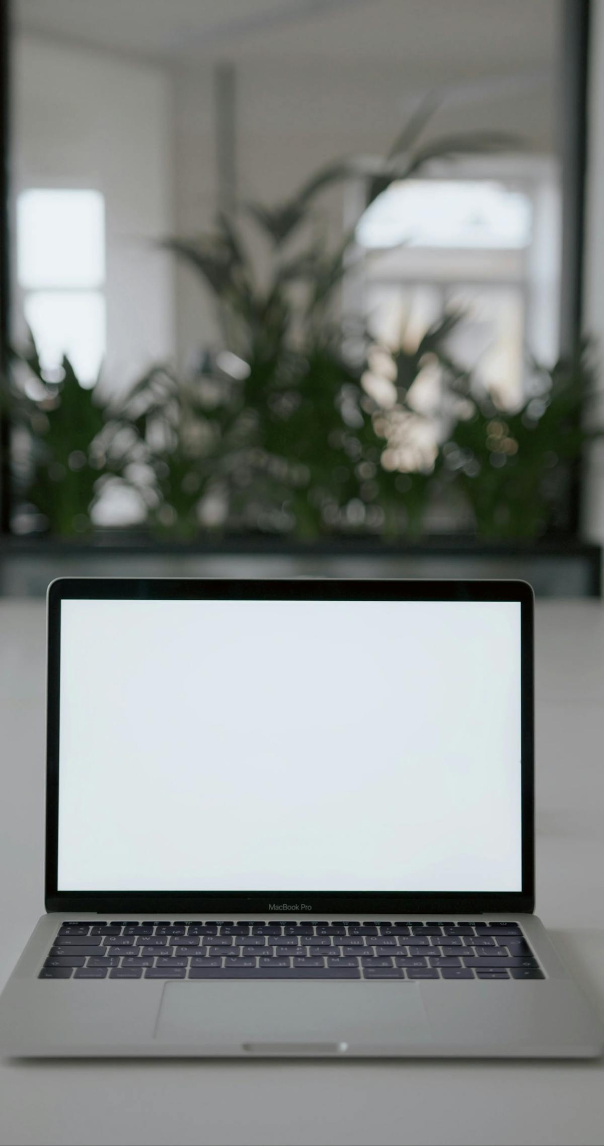 有关3 C用品 Mac Book 事業 人 休閒 傢伙 启动 咖啡 咖啡杯 商業 在家 在家工作 地平線 室內
