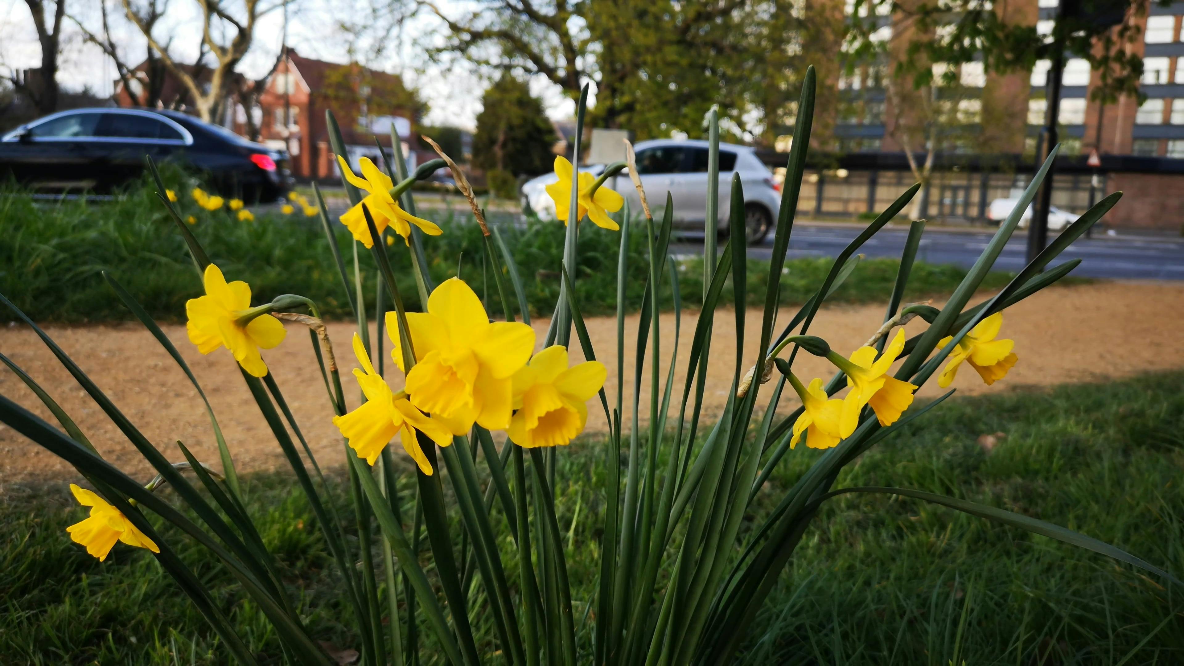 Yellow Spring Road Videos, Download The BEST Free 4k Stock Video ...