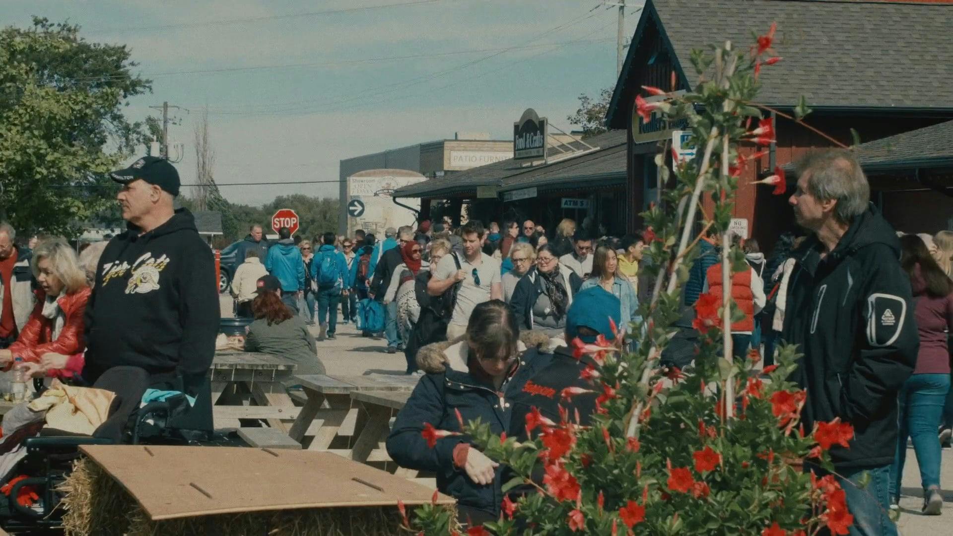 Farmer Market Videos, Download The BEST Free 4k Stock Video Footage ...