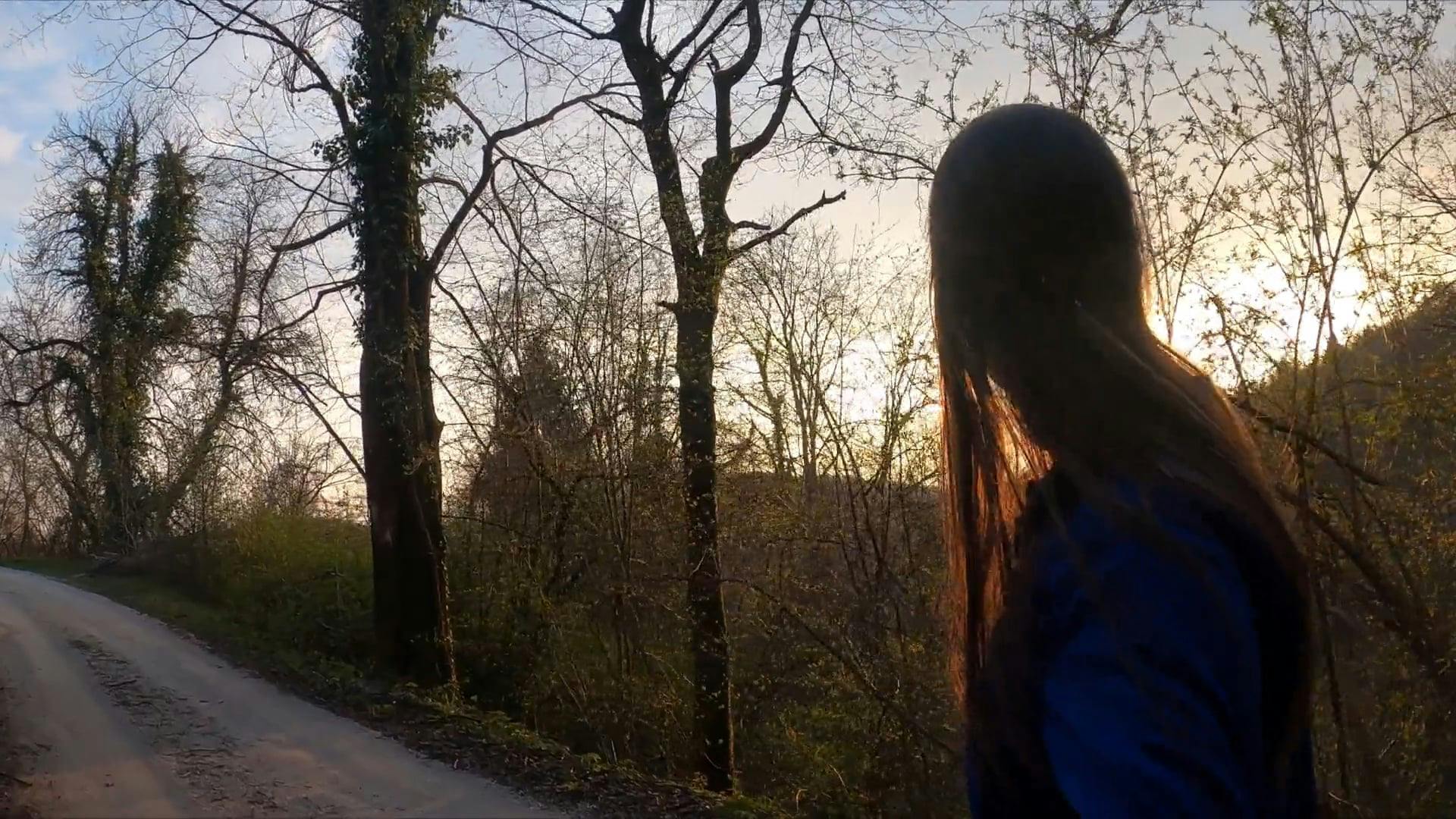 "Meditation", "Sunset", "Solitude", "Forest Walk" Videos, Download The ...