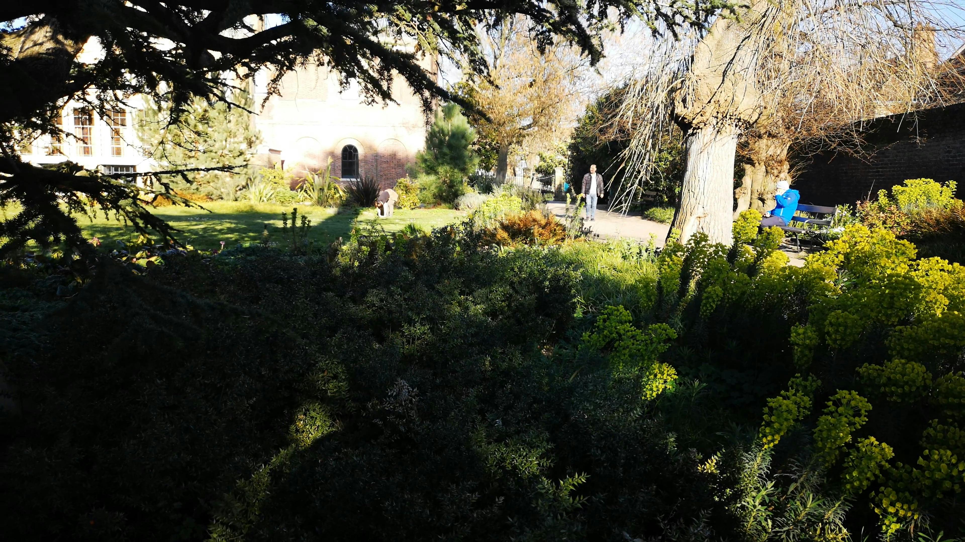 Gardening And Landscaping Videos, Download The BEST Free 4k Stock Video ...