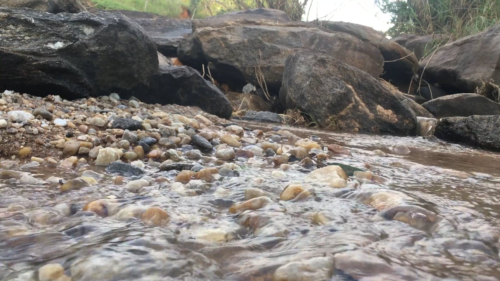 Calming Nature Videos, Download The BEST Free 4k Stock Video Footage ...