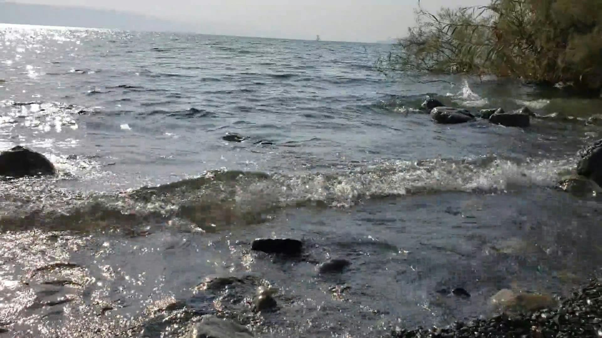 Pebble Ripple Videos, Download The BEST Free 4k Stock Video Footage ...