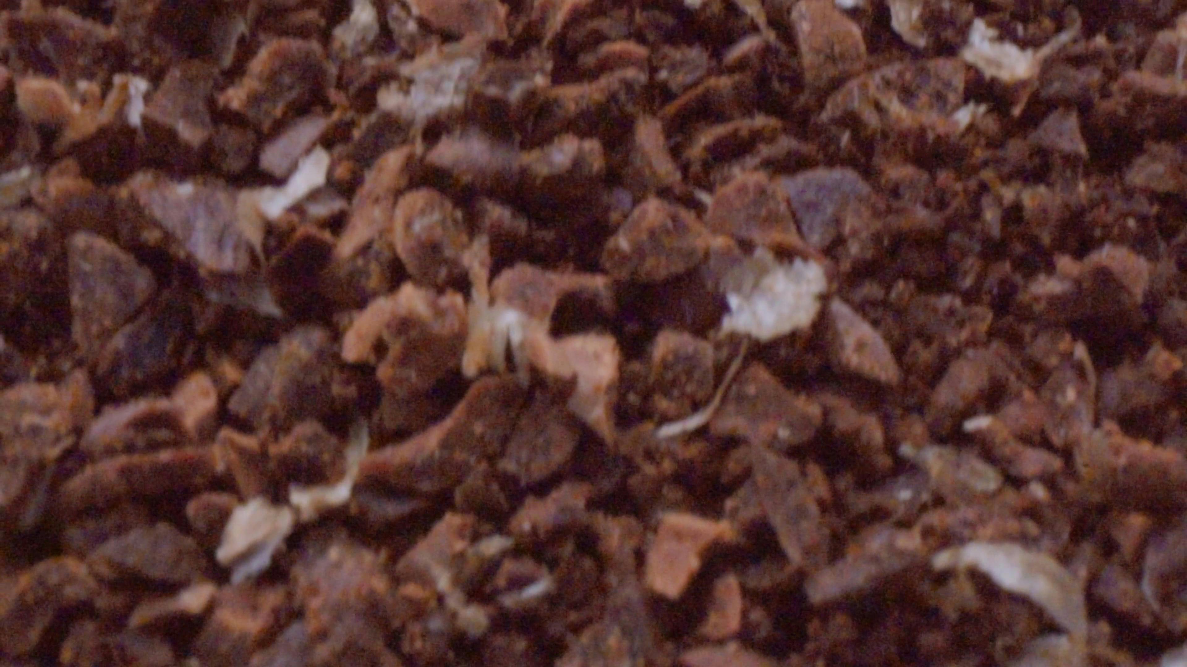 Close up of Substrate Free Stock Video Footage, Royalty-Free 4K & HD ...