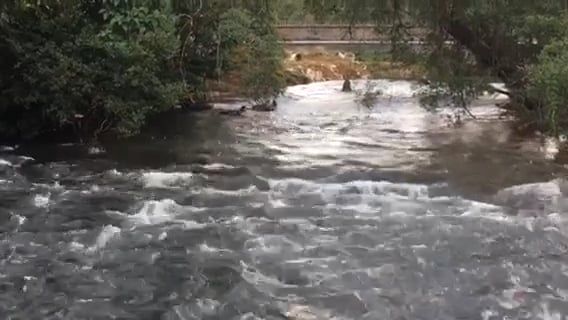 People Riding Floaters in the River Free Stock Video Footage, Royalty ...