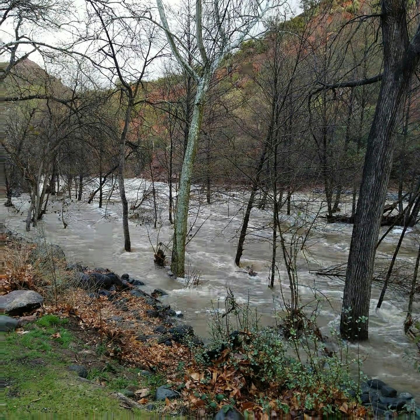 Raging River Videos, Download The BEST Free 4k Stock Video Footage ...