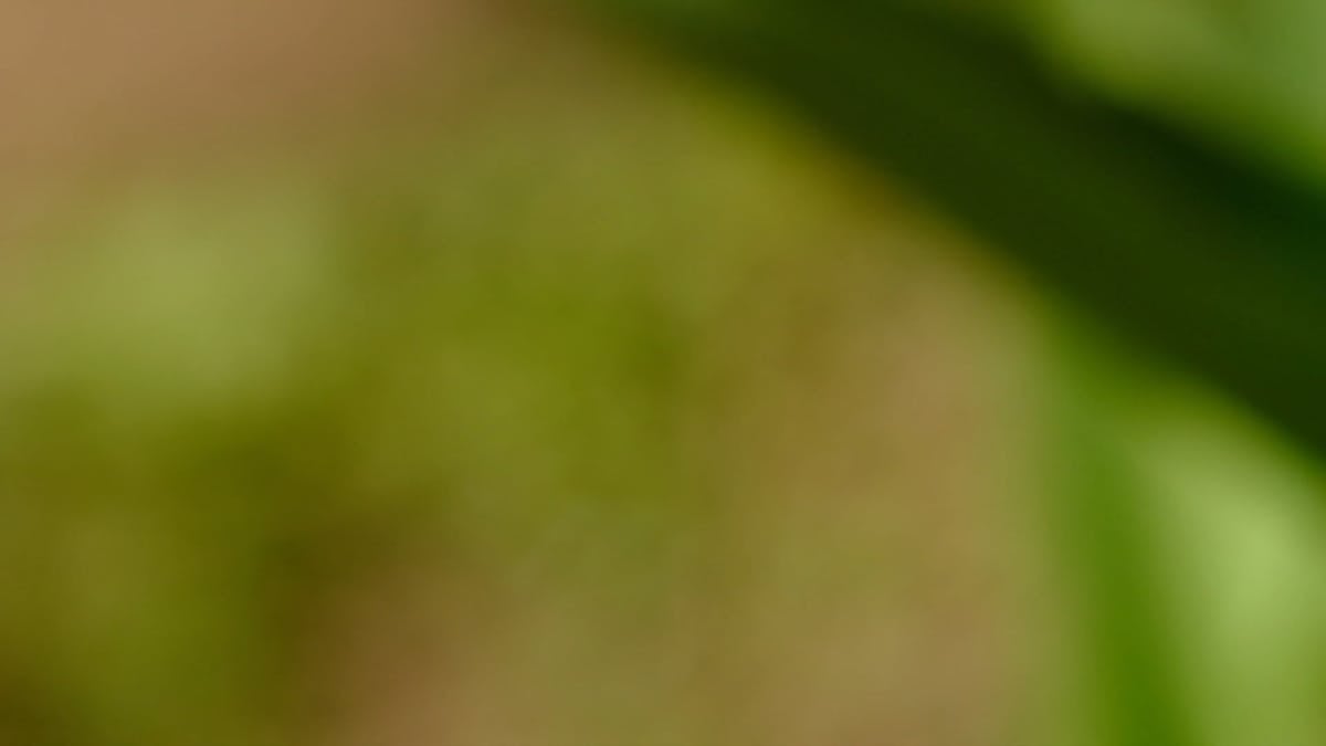 B Roll Videos, Download The BEST Free 4k Stock Video Footage & B Roll ...