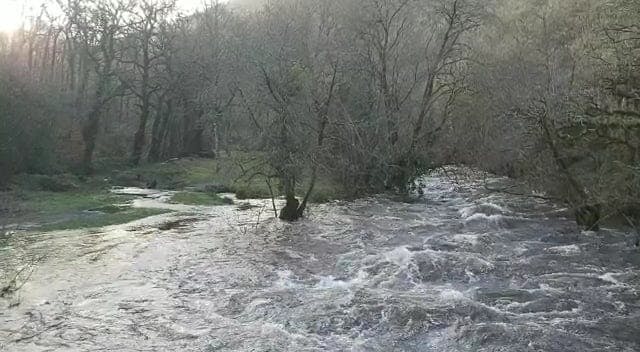 Over Flowing River in the Forest Free Stock Video Footage, Royalty-Free ...