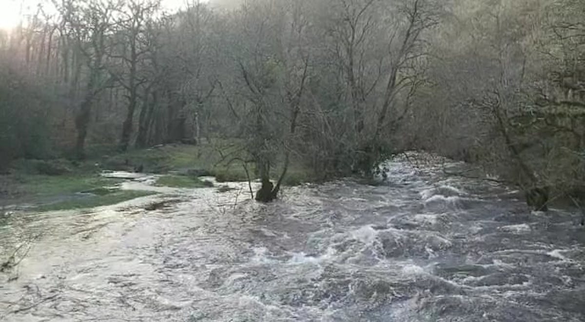 Flood Videos, Download The BEST Free 4k Stock Video Footage & Flood HD ...