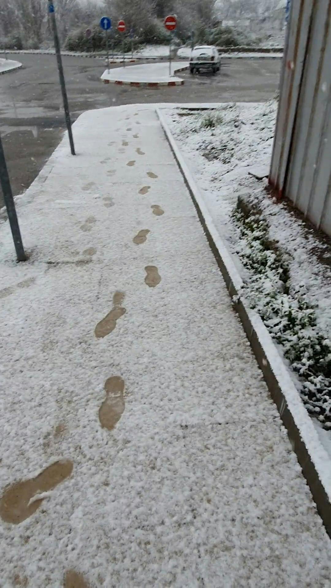 Ice Path Videos, Download The BEST Free 4k Stock Video Footage & Ice ...