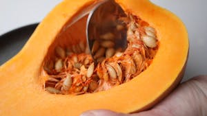 Pumpkin Videos, Download The BEST Free 4k Stock Video Footage & Pumpkin ...