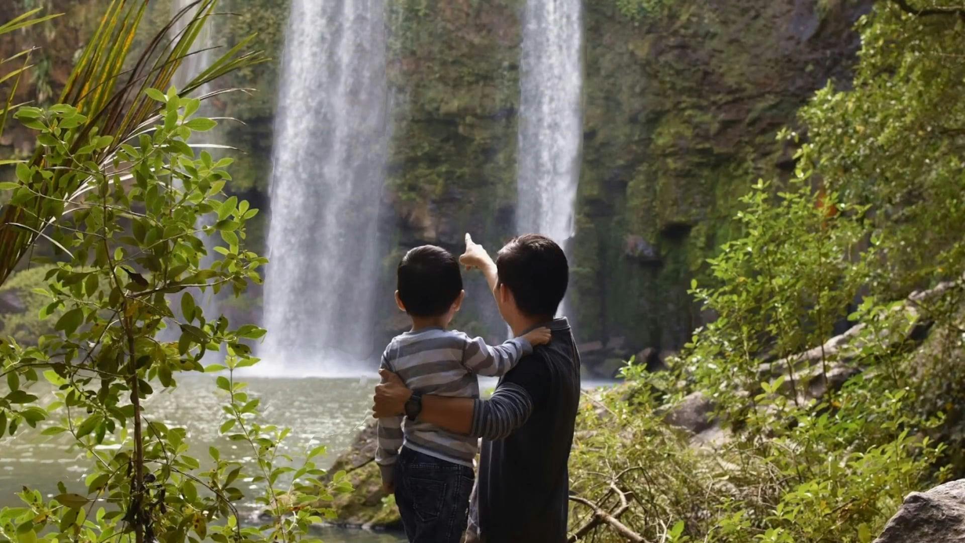 A Father And Son Enjoying The View Of A Waterfalls · Free Stock Video