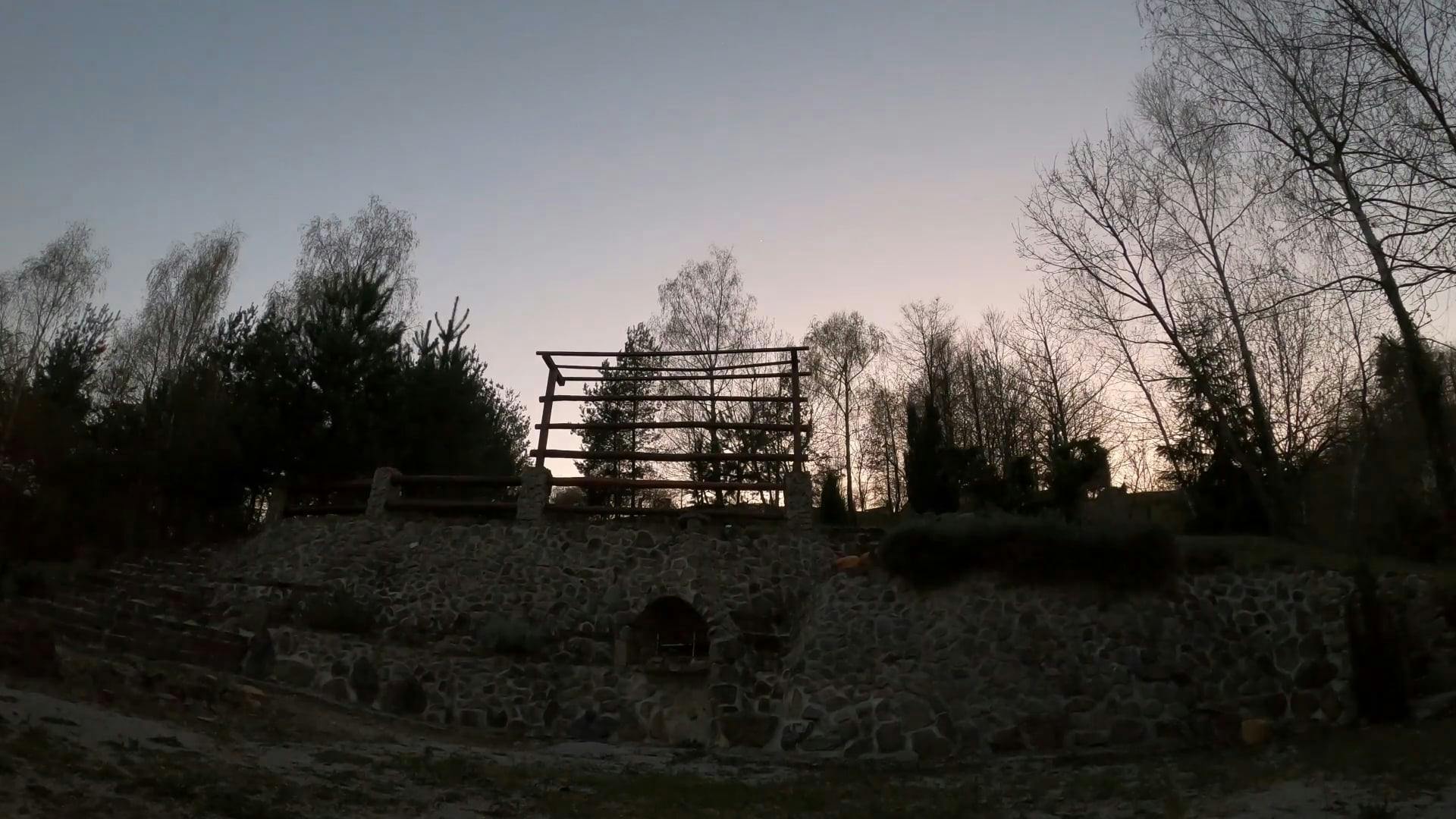 Reflection Of Tree At Night Free Stock Video Footage, Royalty-Free 4K ...