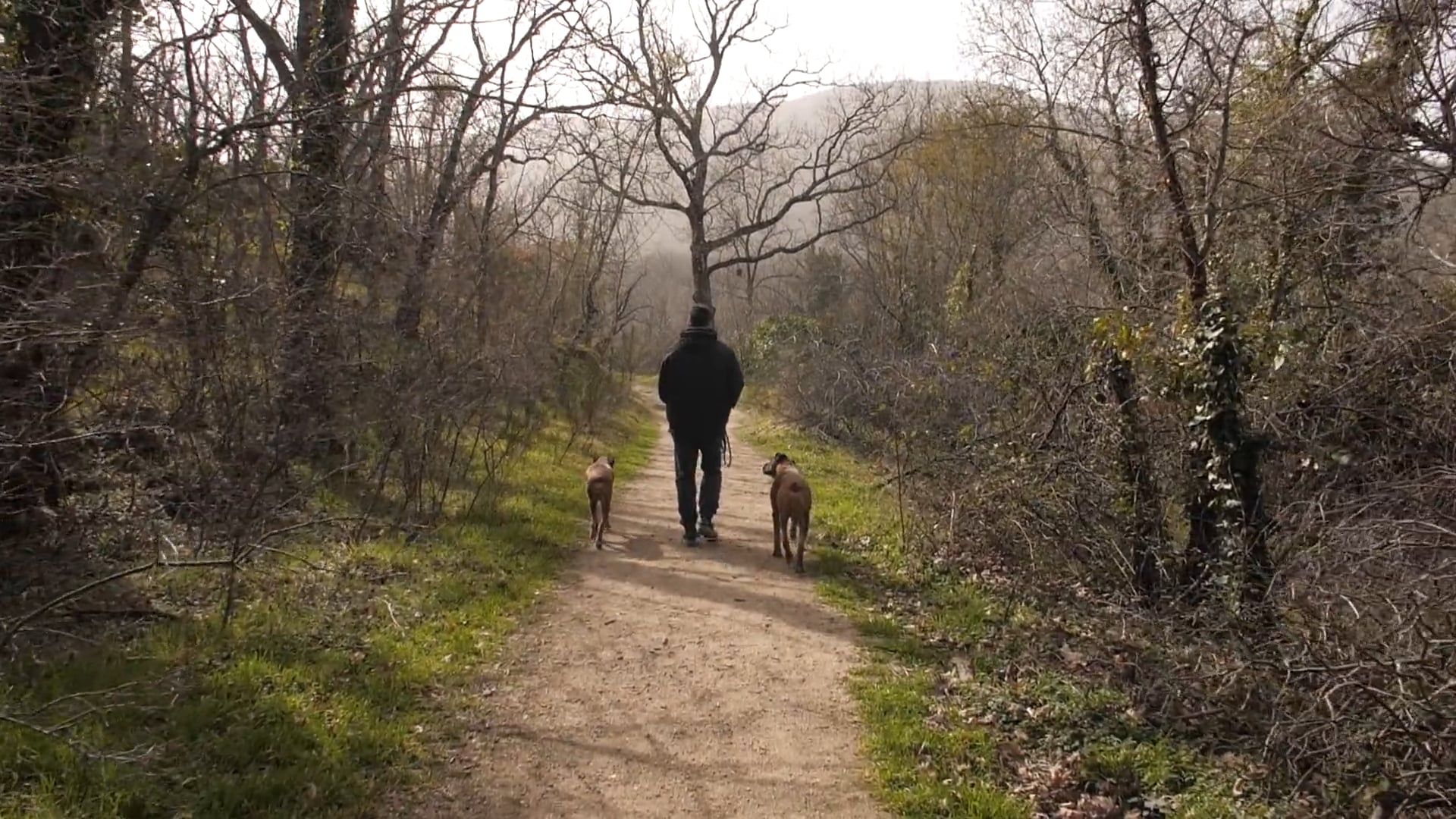 Recreational Walking Videos, Download The BEST Free 4k Stock Video ...