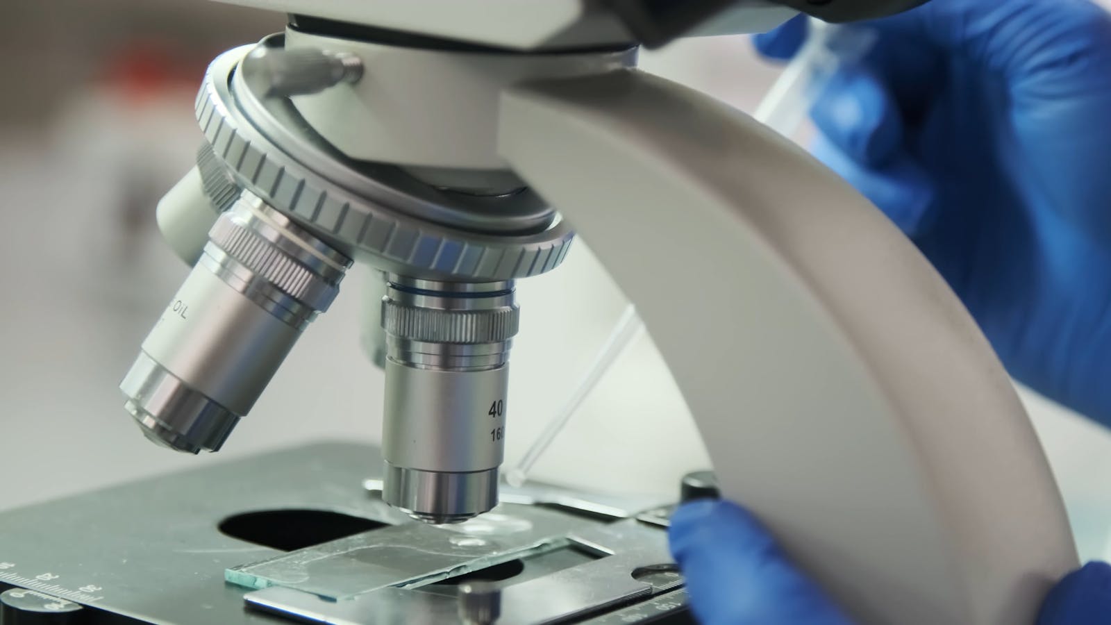 Laboratory Videos, Download The BEST Free 4k Stock Video Footage ...