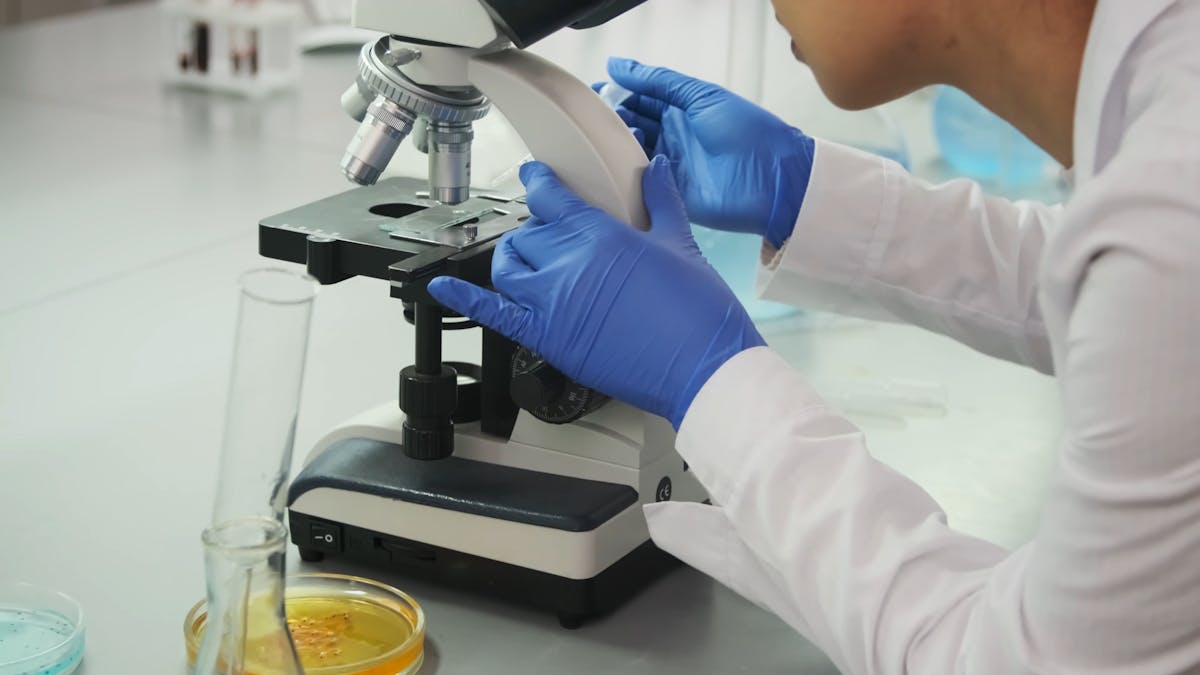 Science Laboratory Videos, Download The BEST Free 4k Stock Video ...