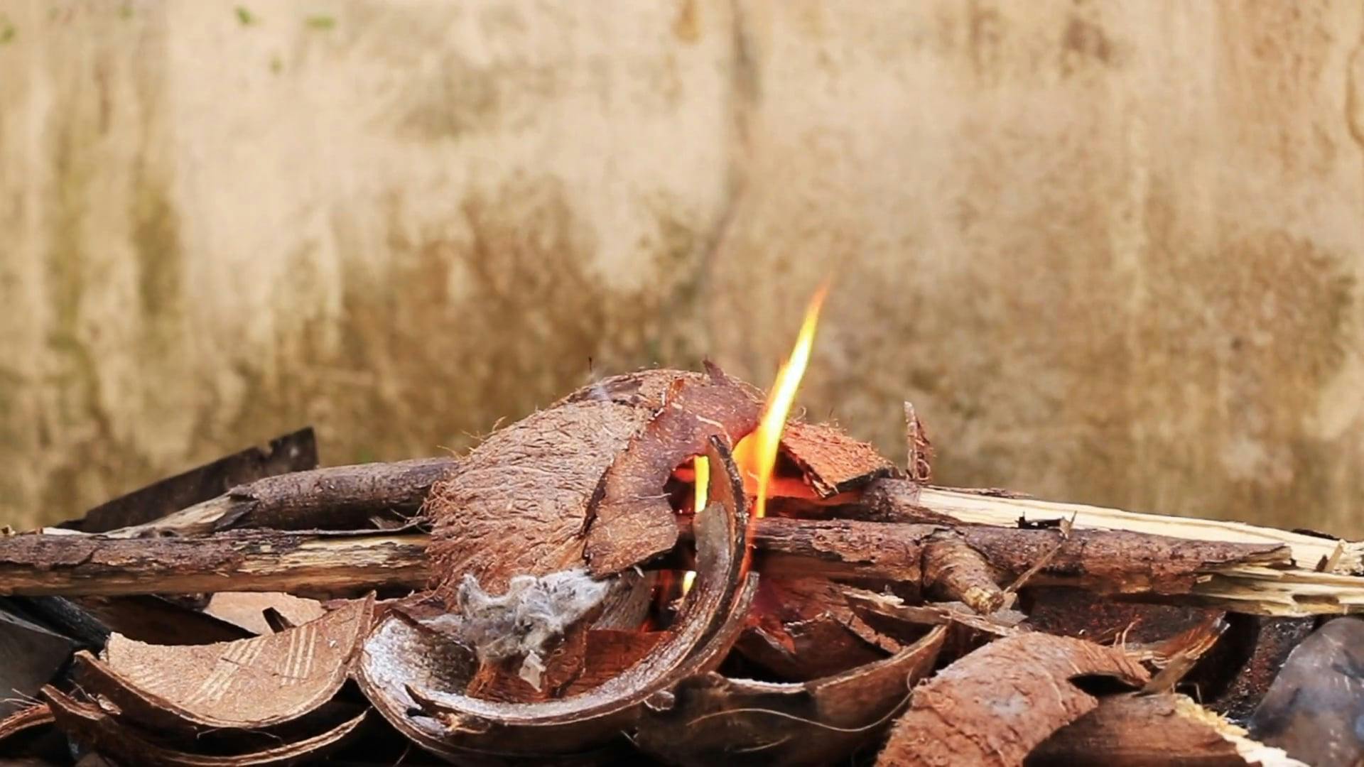 Coconut Husk Videos, Download The BEST Free 4k Stock Video Footage ...