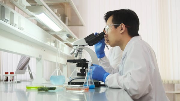 Medical Laboratory Videos, Download The BEST Free 4k Stock Video ...