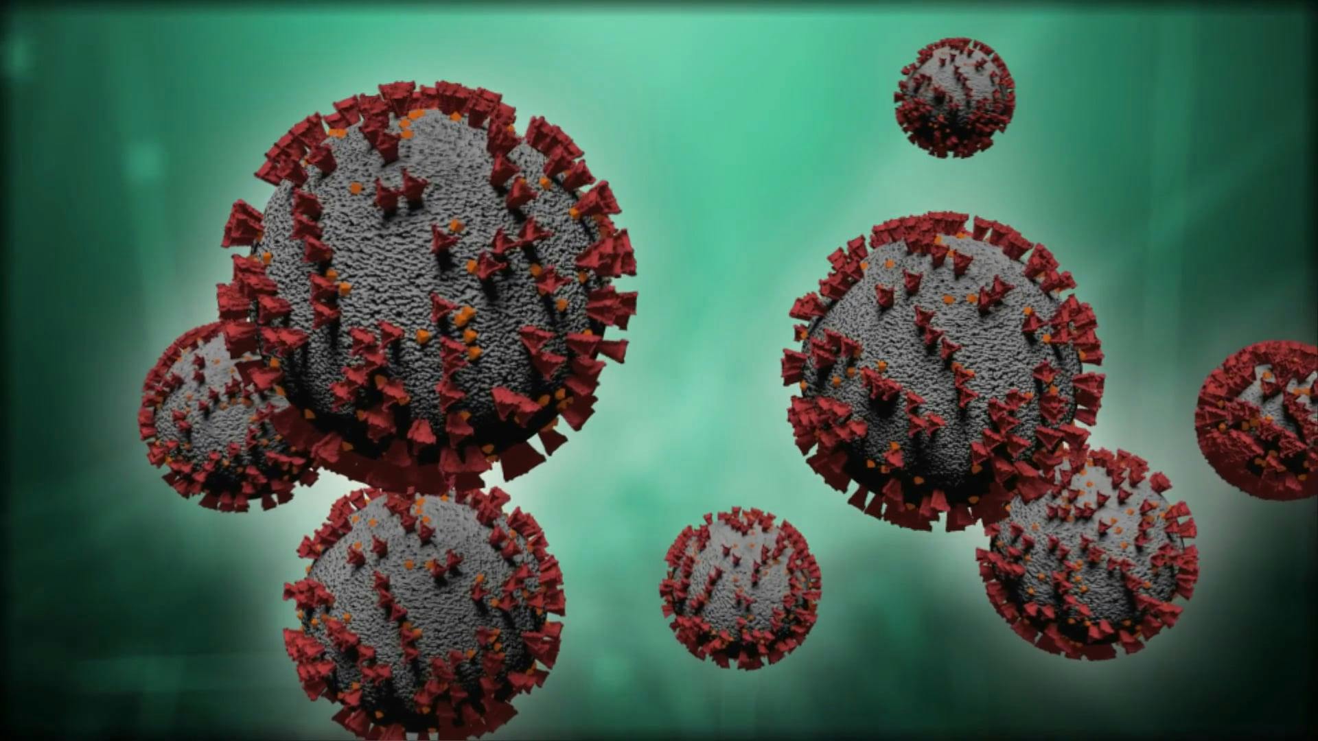 An Animated Illustration of a Virus Free Stock Video Footage, Royalty ...