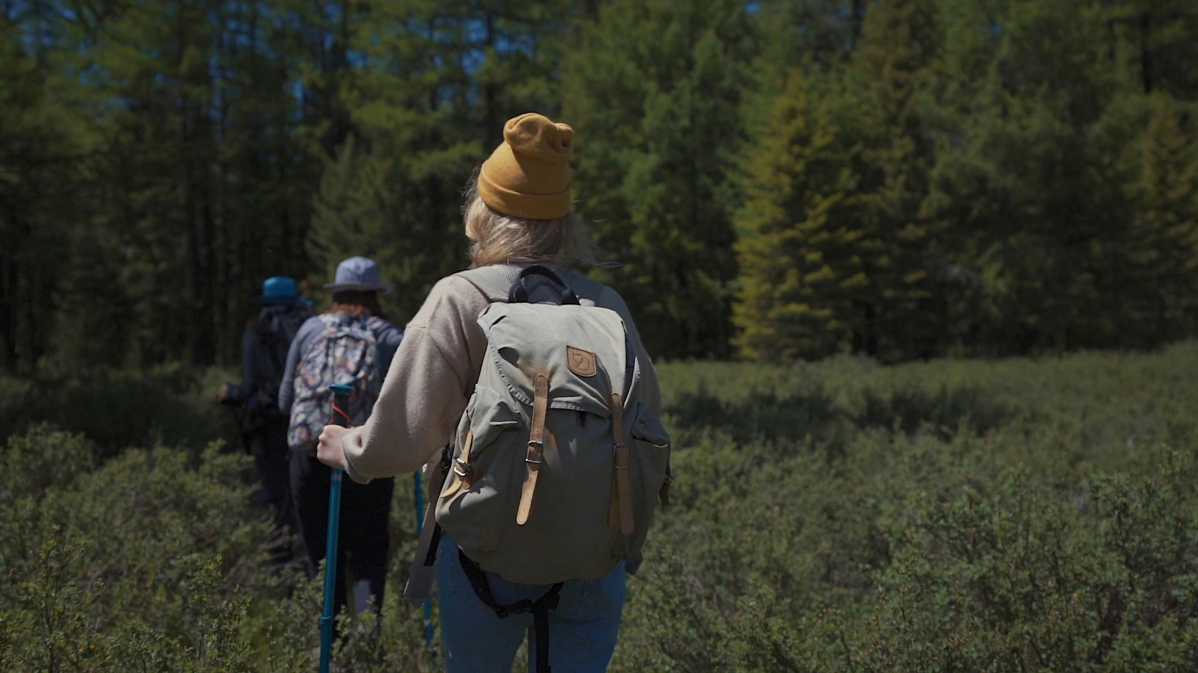 People Hiking Towards The Woods · Free Stock Video