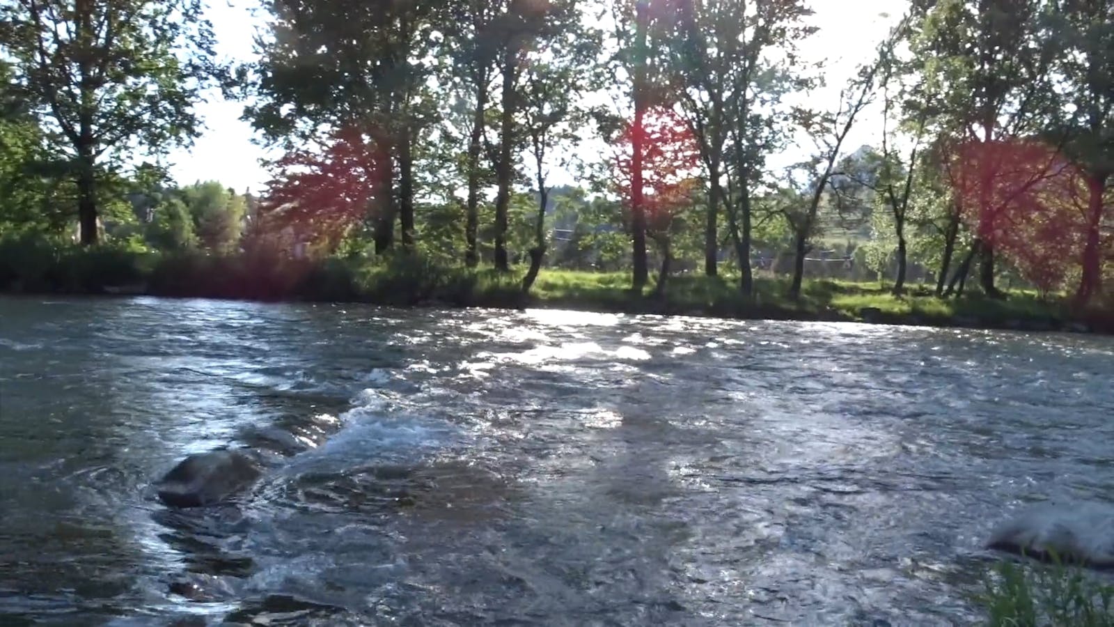 Nature Background Videos, Download The BEST Free 4k Stock Video Footage ...