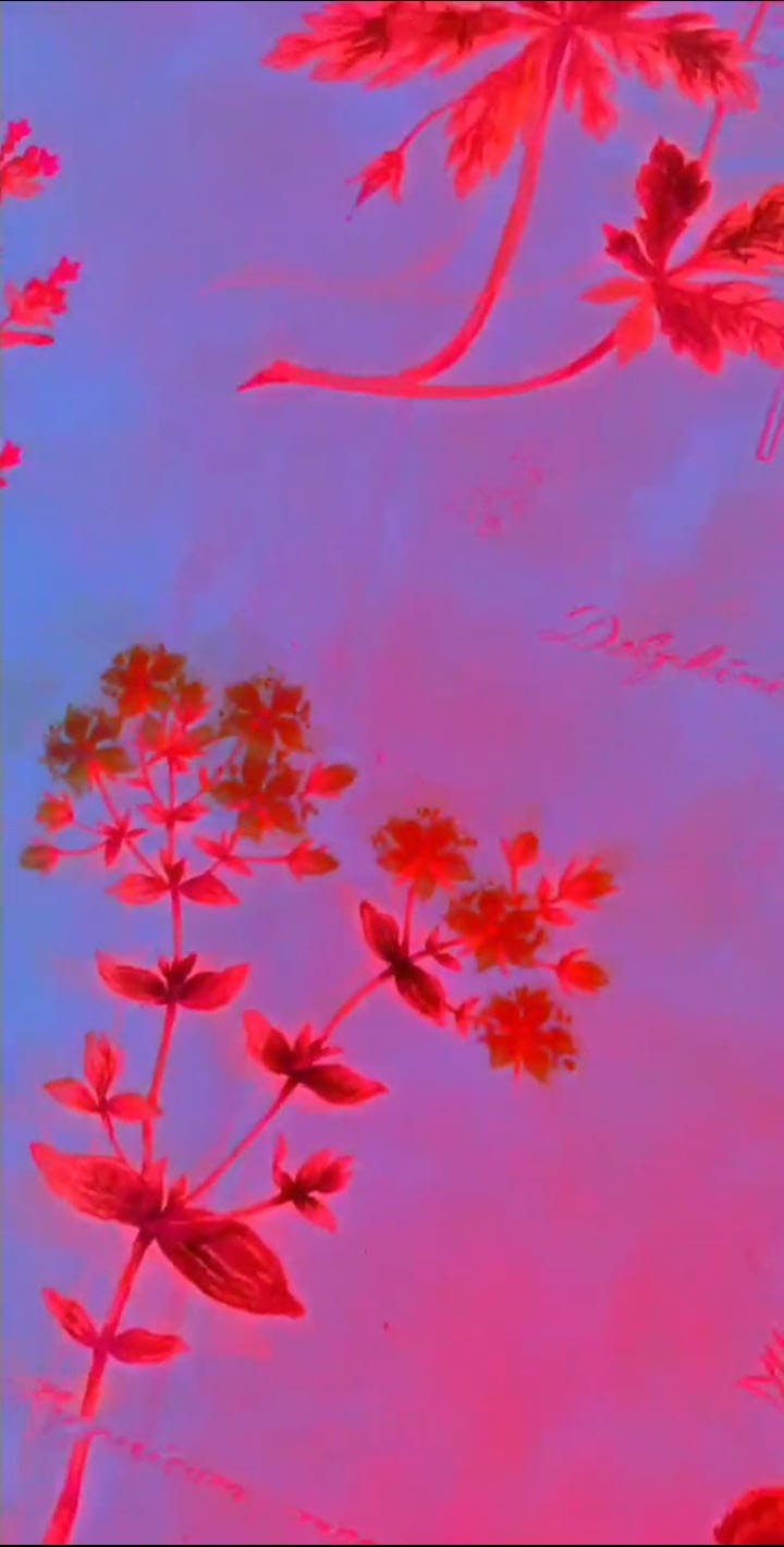 Flowers on a Flashing Red Light Free Stock Video Footage, Royalty-Free ...