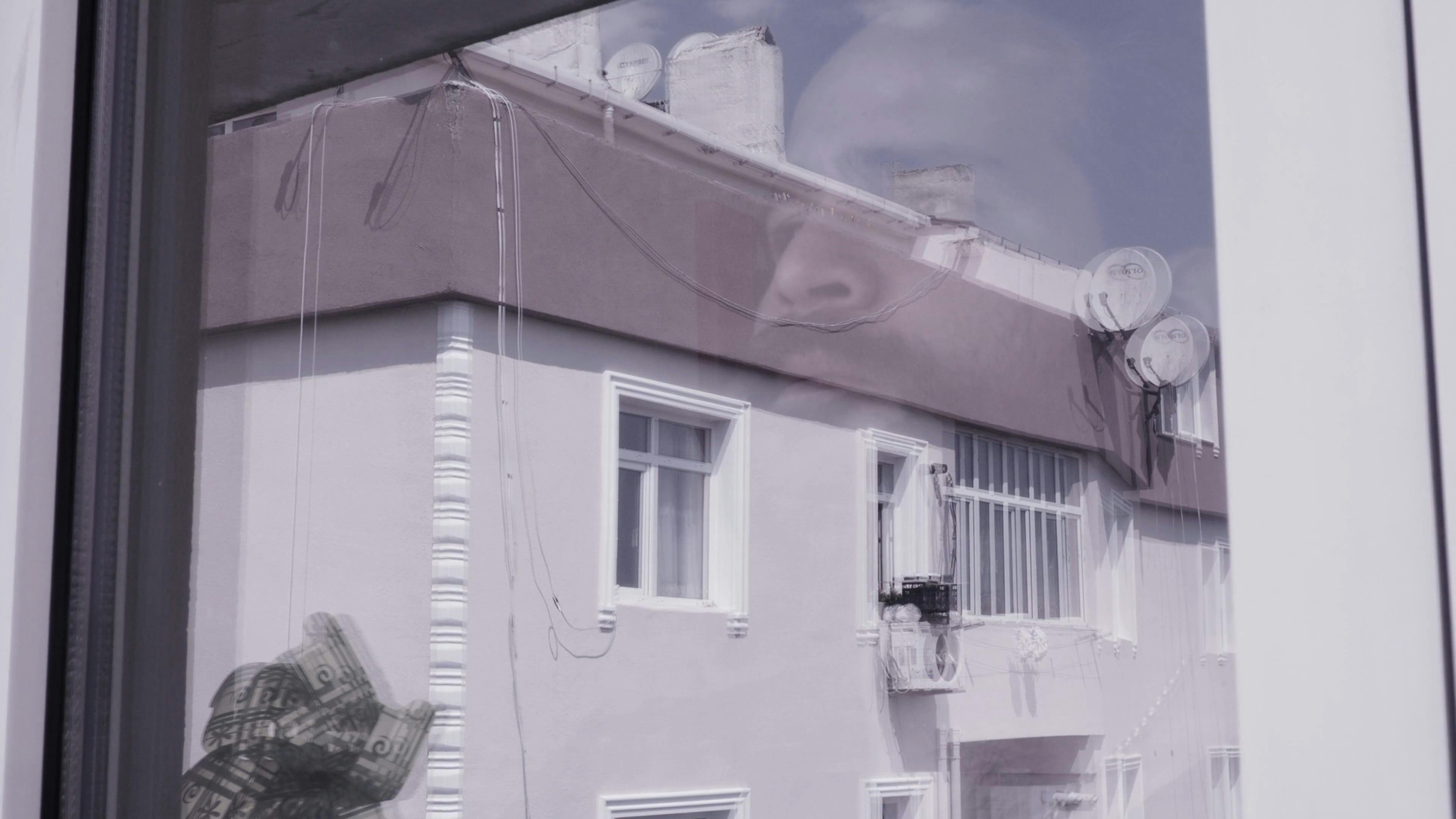 Introduction Background Videos, Download The BEST Free 4k Stock Video ...