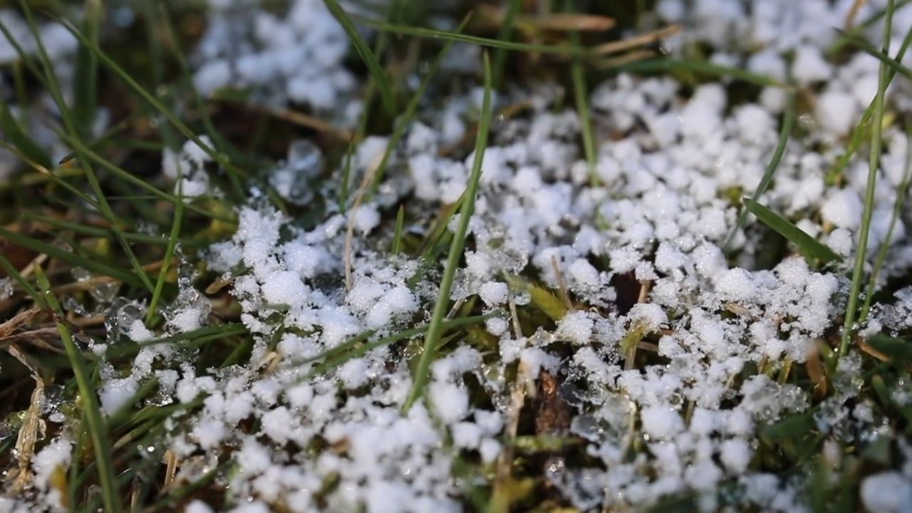 6+ Best Free Hail 4K Stock Video Footage & Royalty-Free HD Video Clips