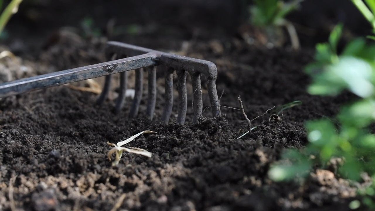 Rake Videos, Download The BEST Free 4k Stock Video Footage & Rake HD ...