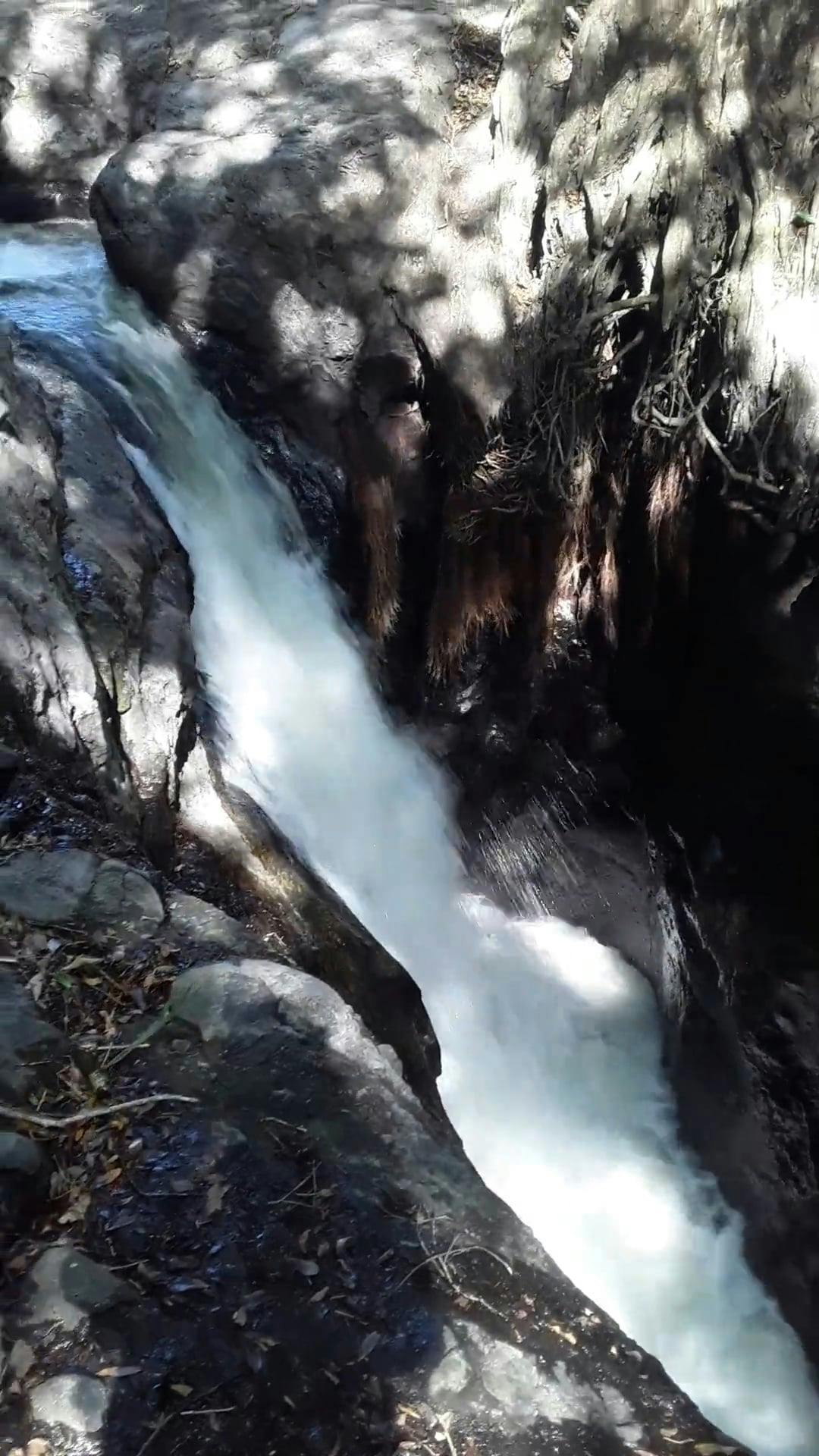 Close-up Shot of a Rocky Stream of Water · Free Stock Video