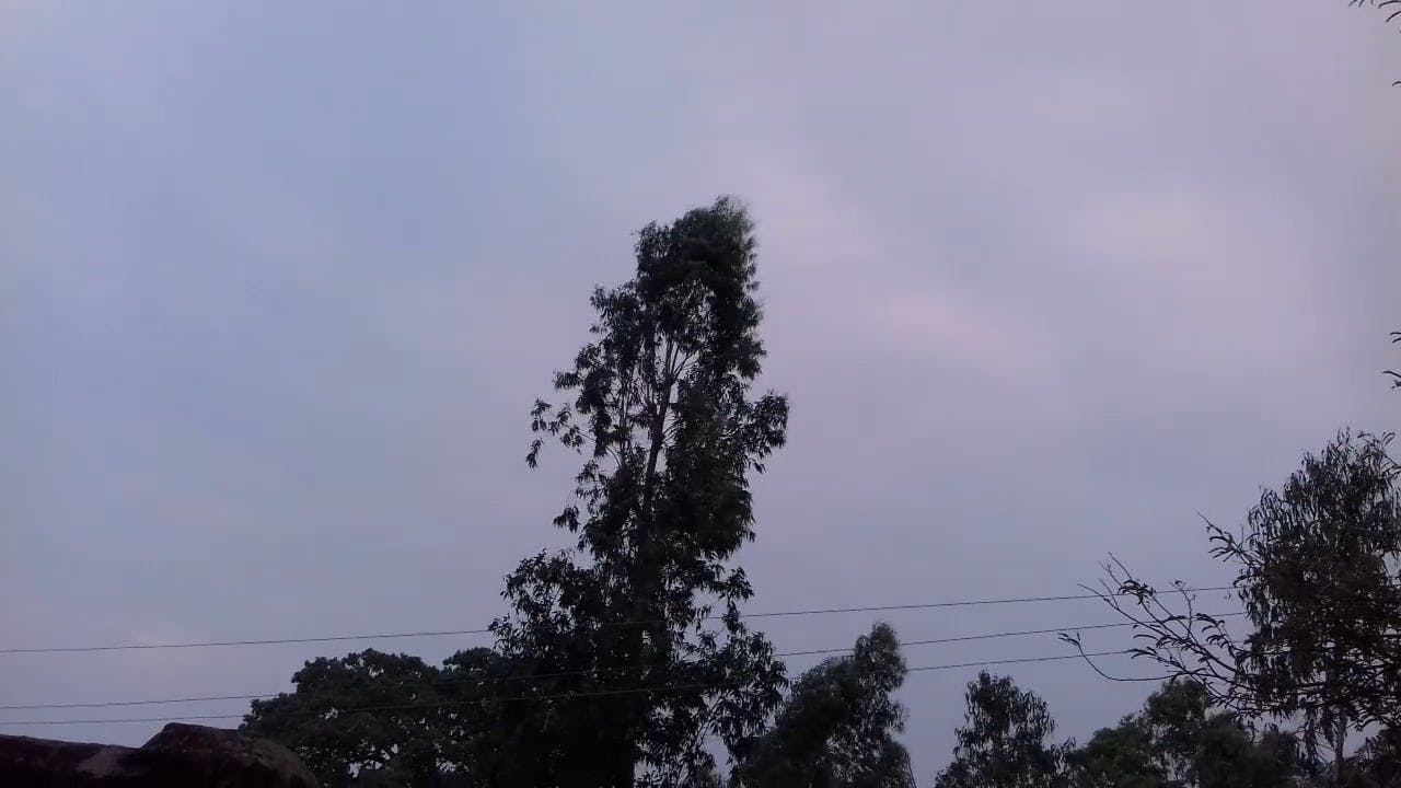 Gentle Winds Videos, Download The BEST Free 4k Stock Video Footage ...