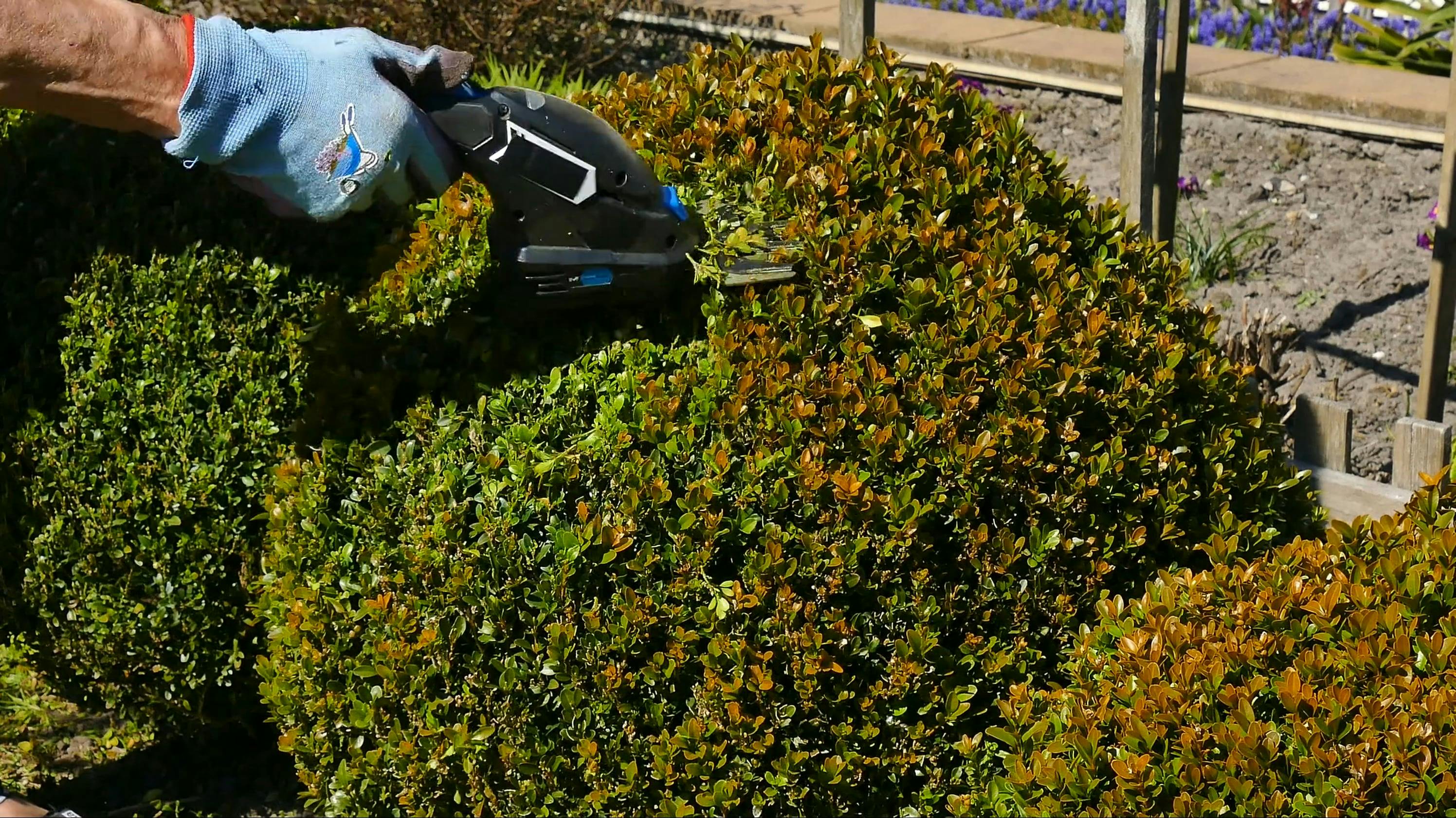 Bush Trimming Videos, Download The BEST Free 4k Stock Video Footage ...